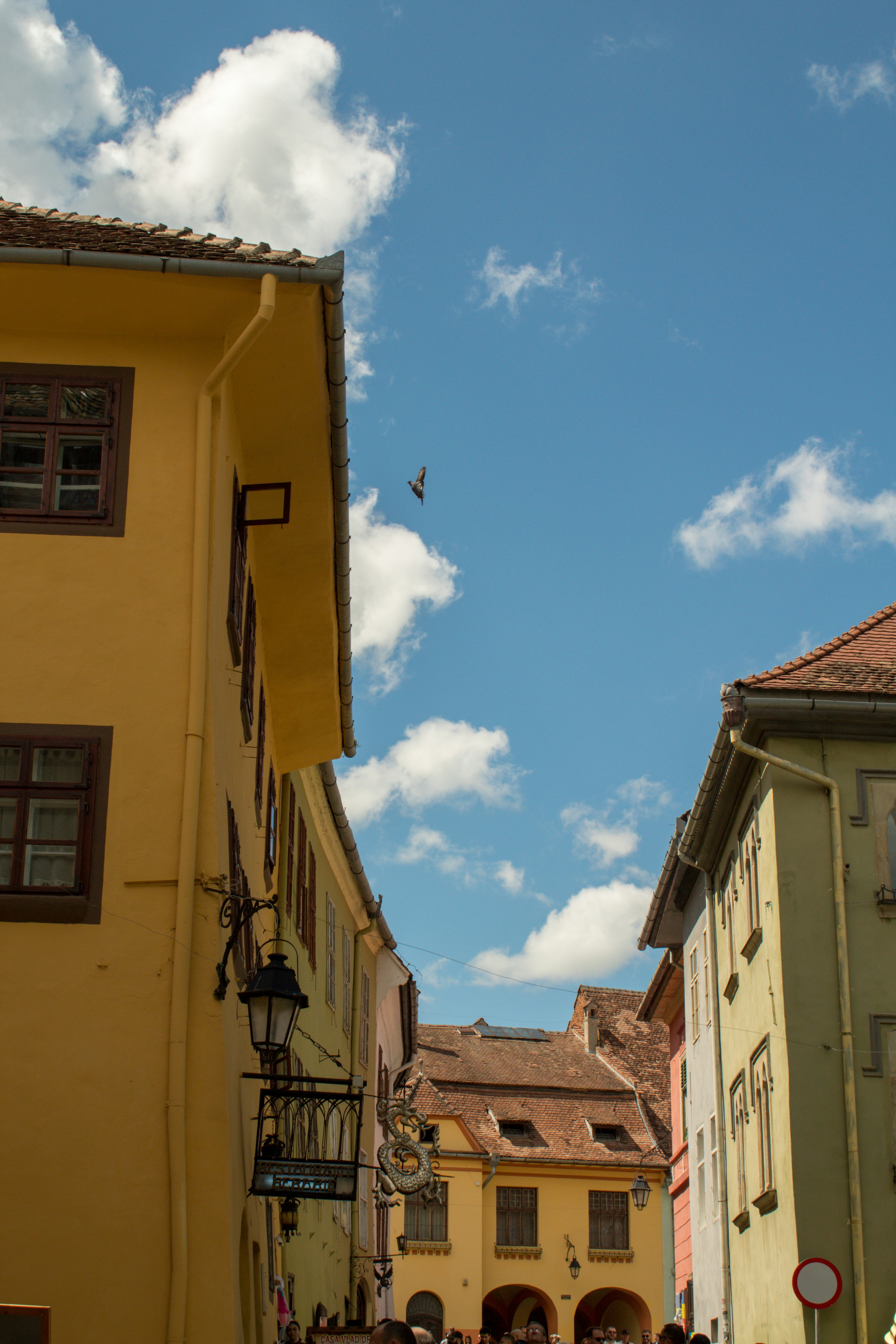 Bird in a Sky-Blue Gap Over a Sunlit Calle of Pastel Facades