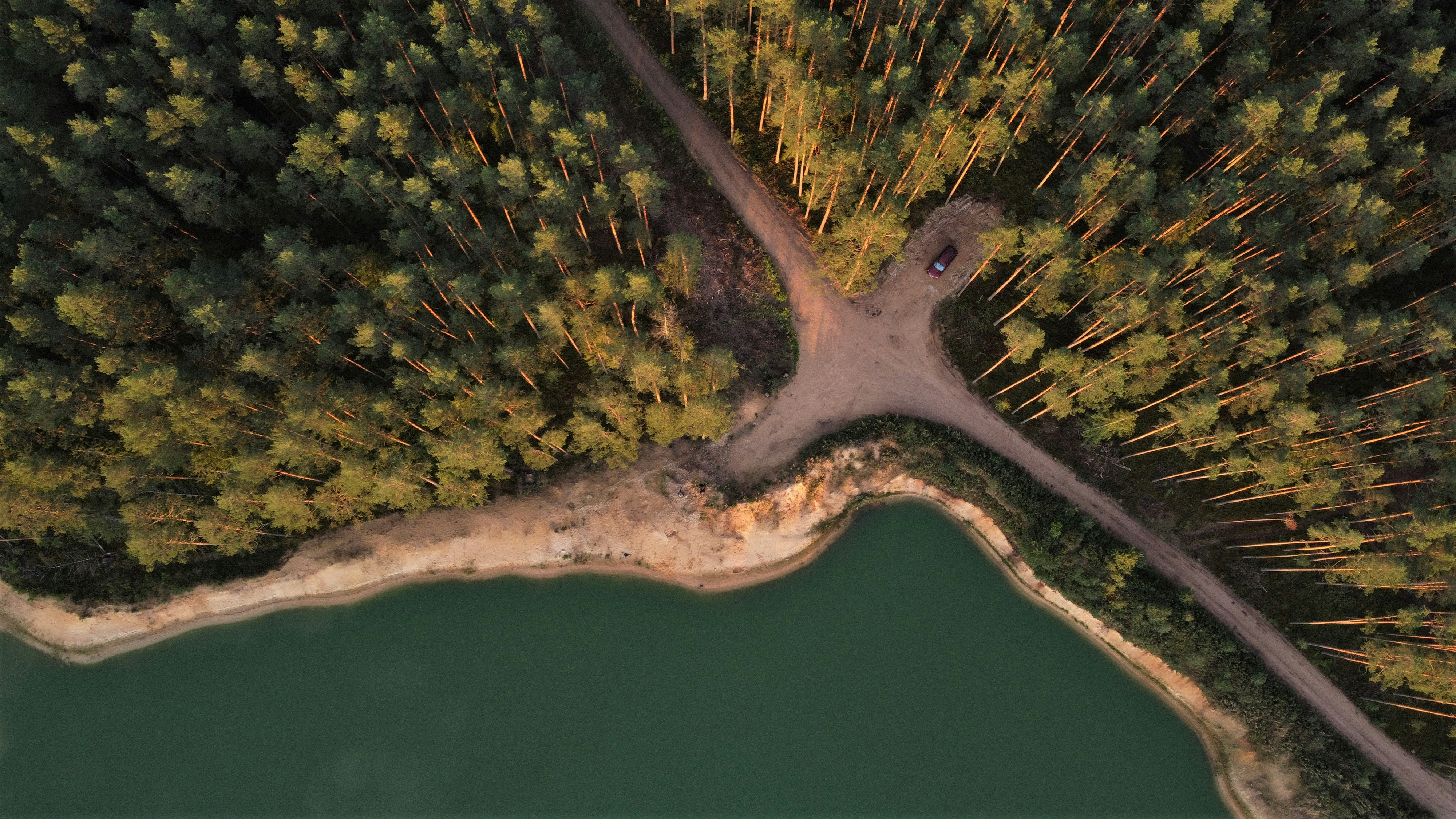 Aerial view of green trees beside body of water during daytime photo ...
