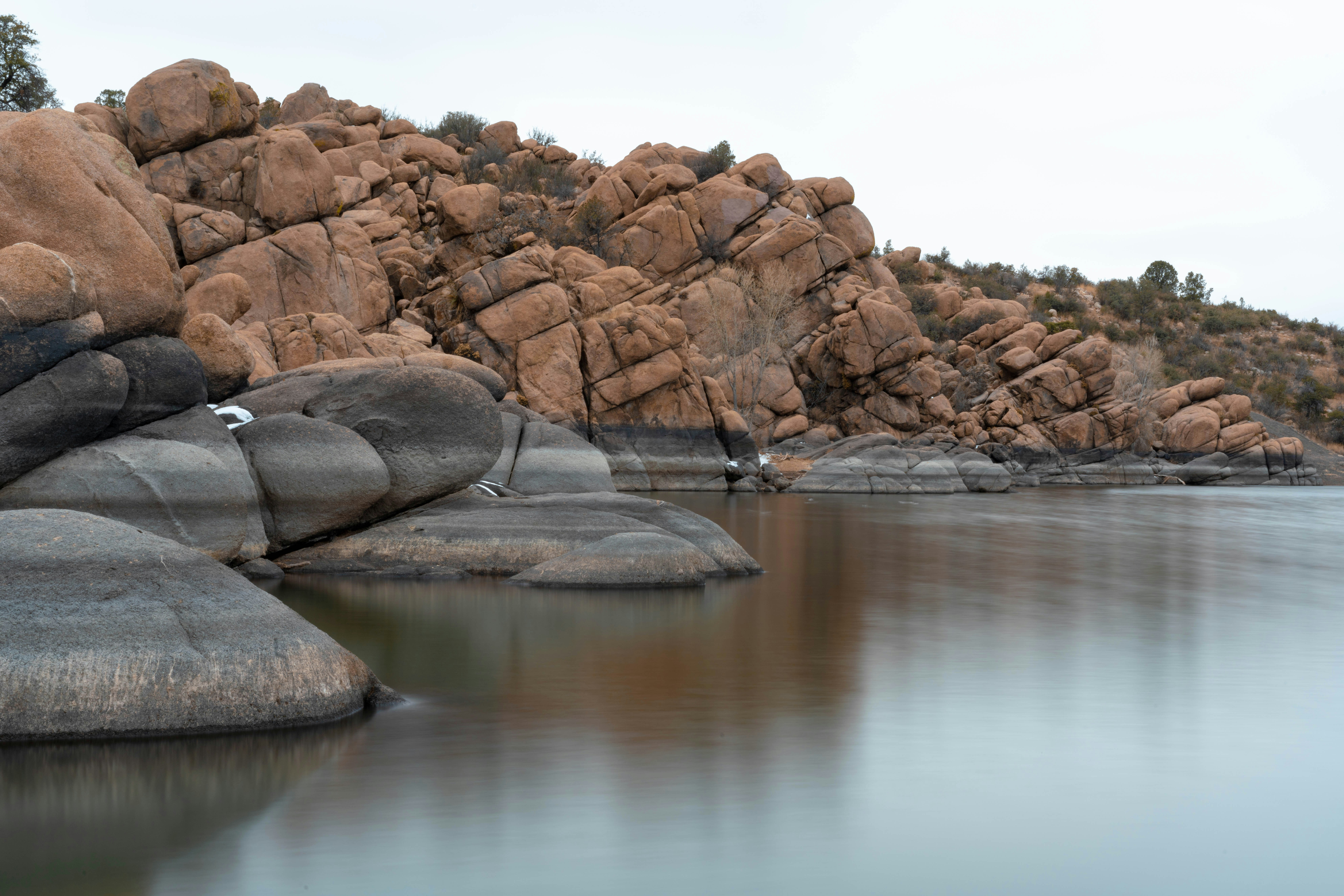 Velvet Tide on Weathered Granite