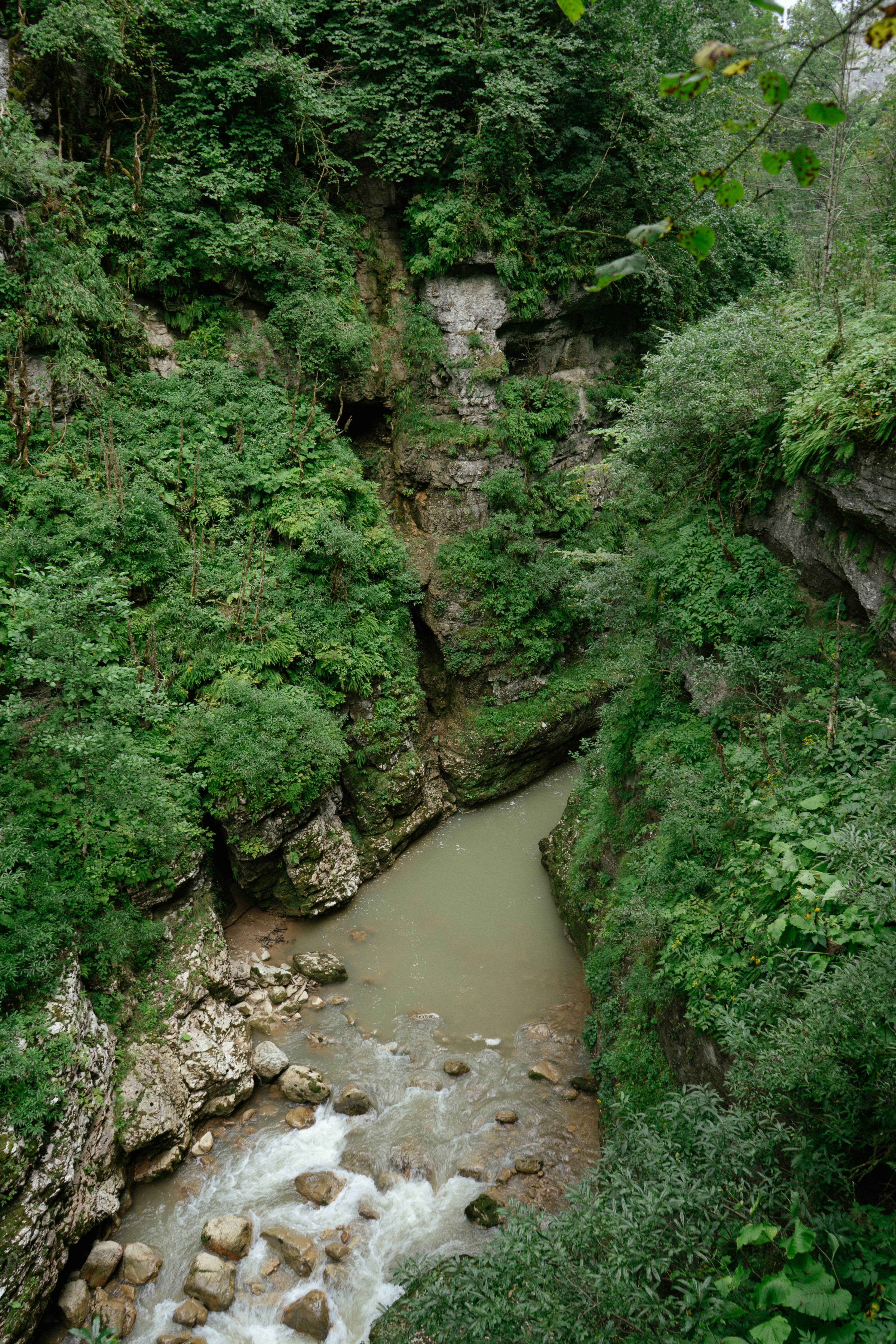 Photo by Albina White with Sony Alpha 7 III