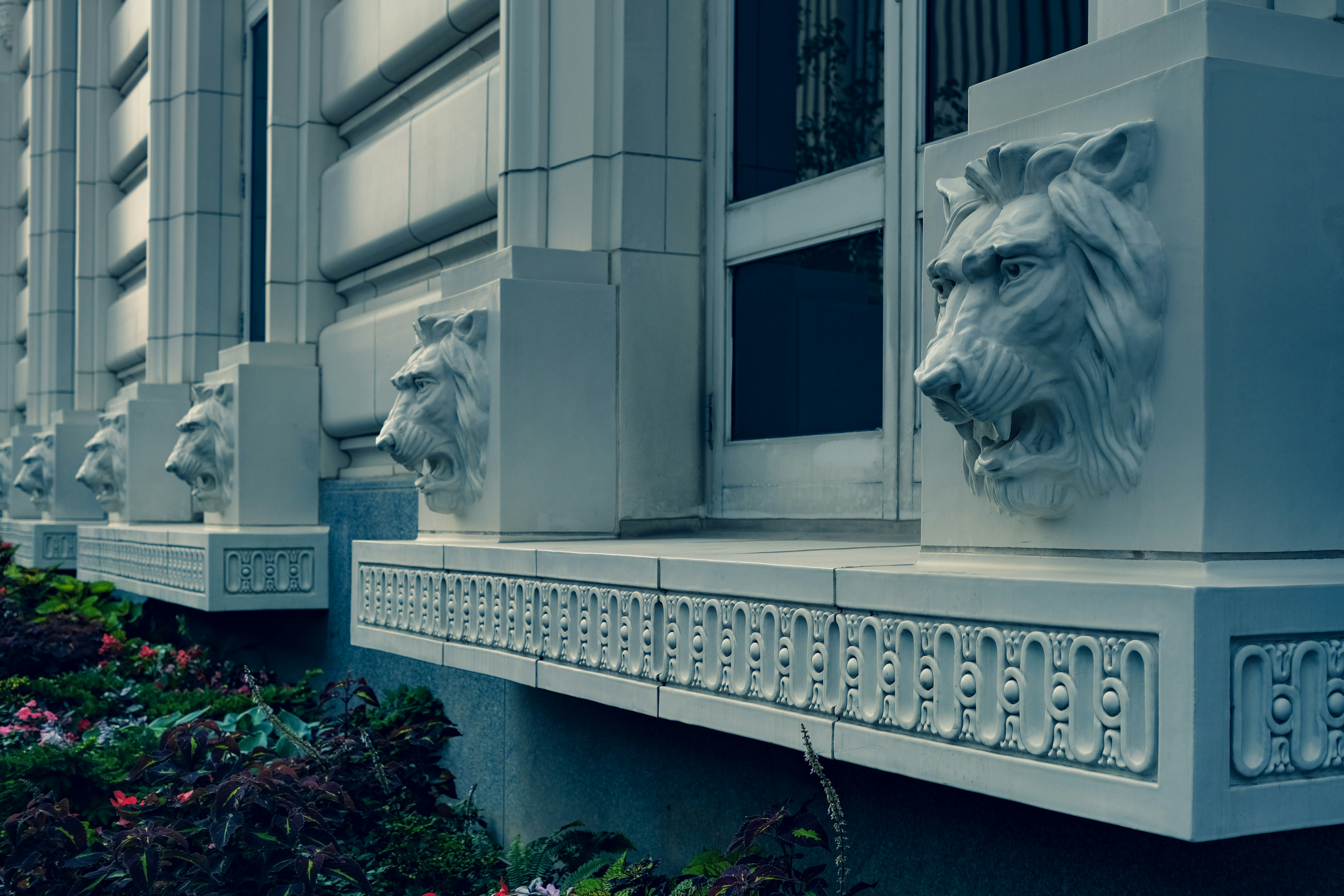 Blue-tinged Guardians: Lions Adorning a Classical Facade
