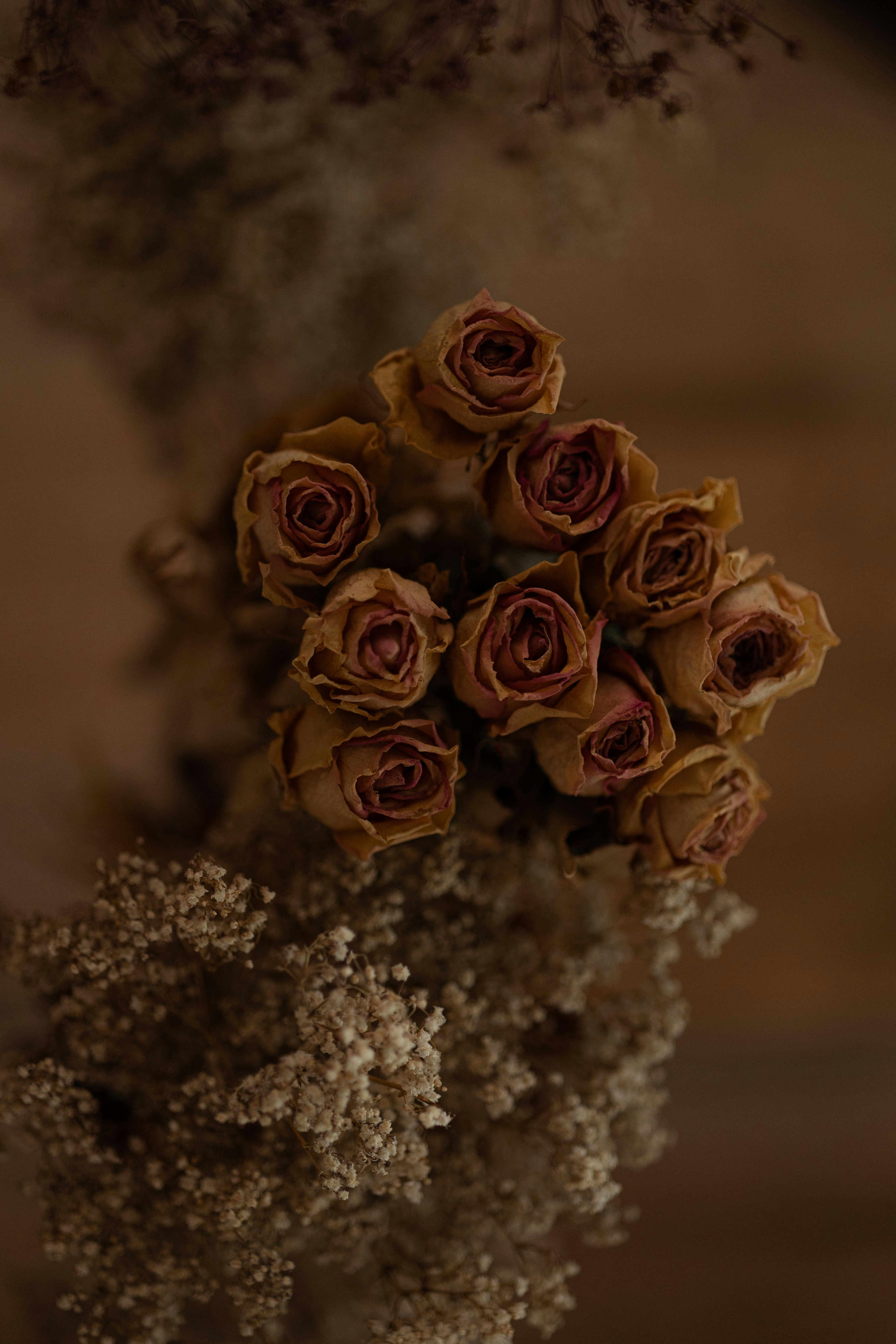 A cluster of dried roses surrounded by delicate white flowers, showcasing the beauty of decay and nostalgia.