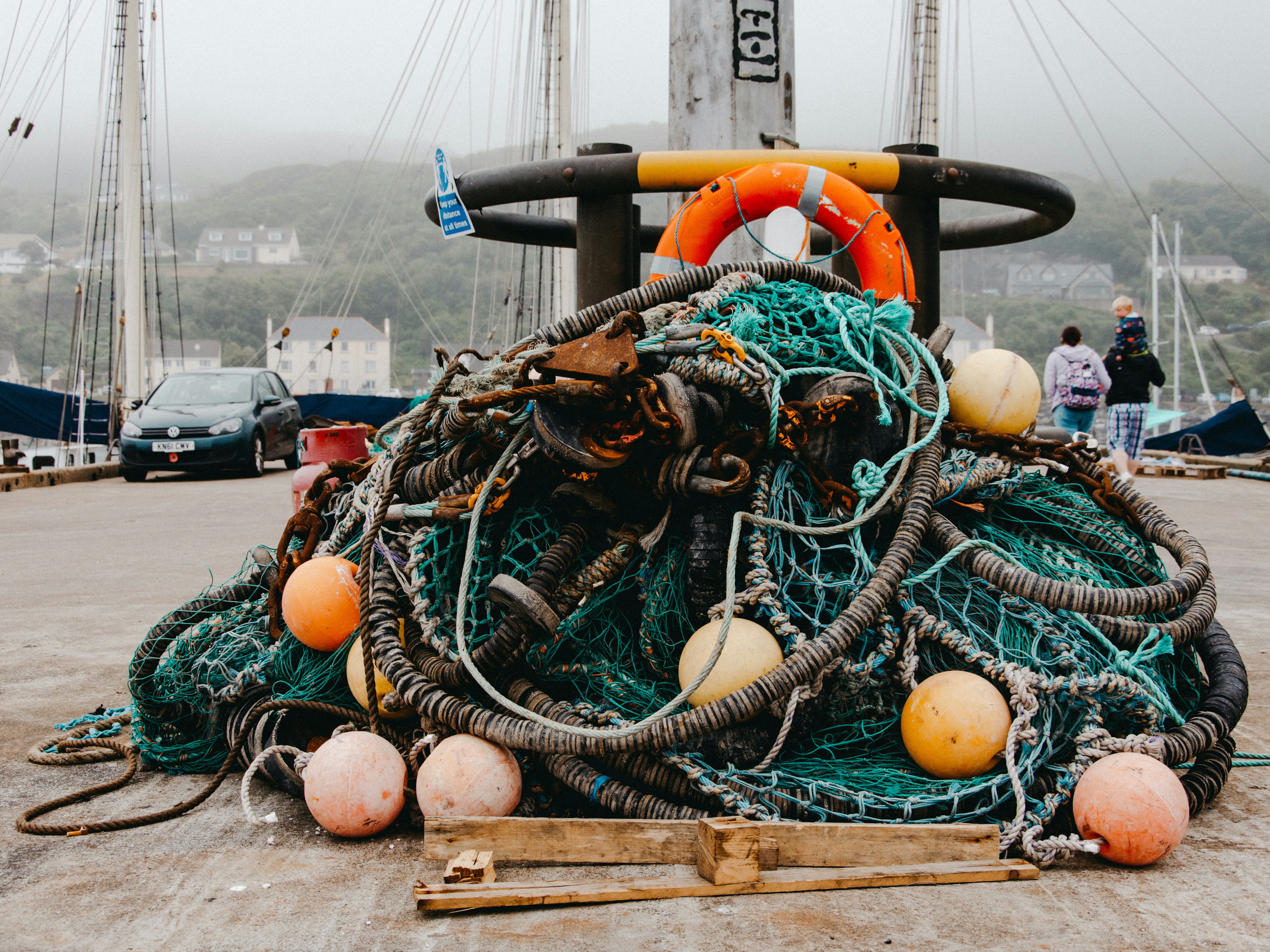 Tangled Tales of the Harbor
