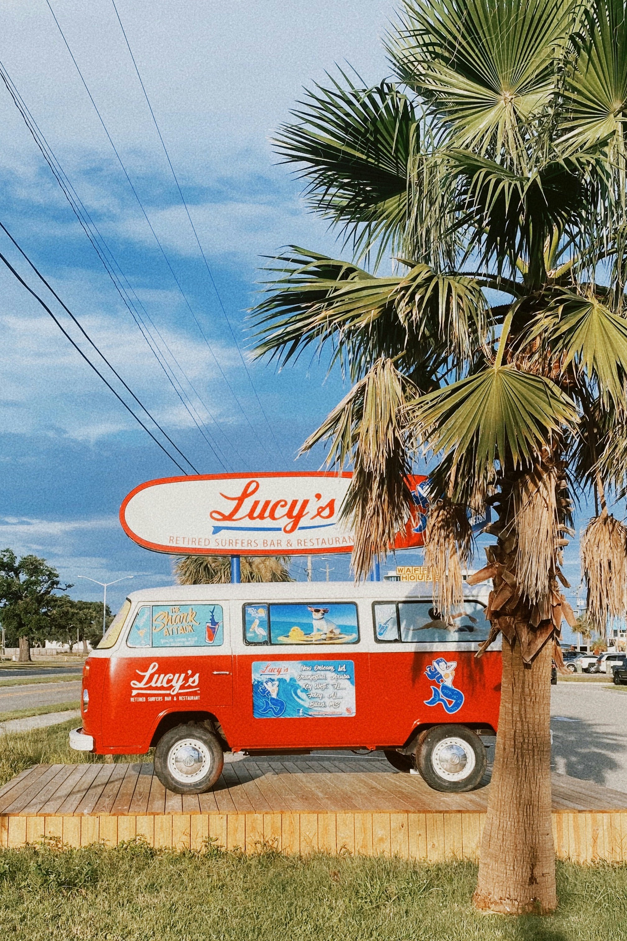 Lucy's Vintage Van by the Palm: A Sunlit Roadside Scene