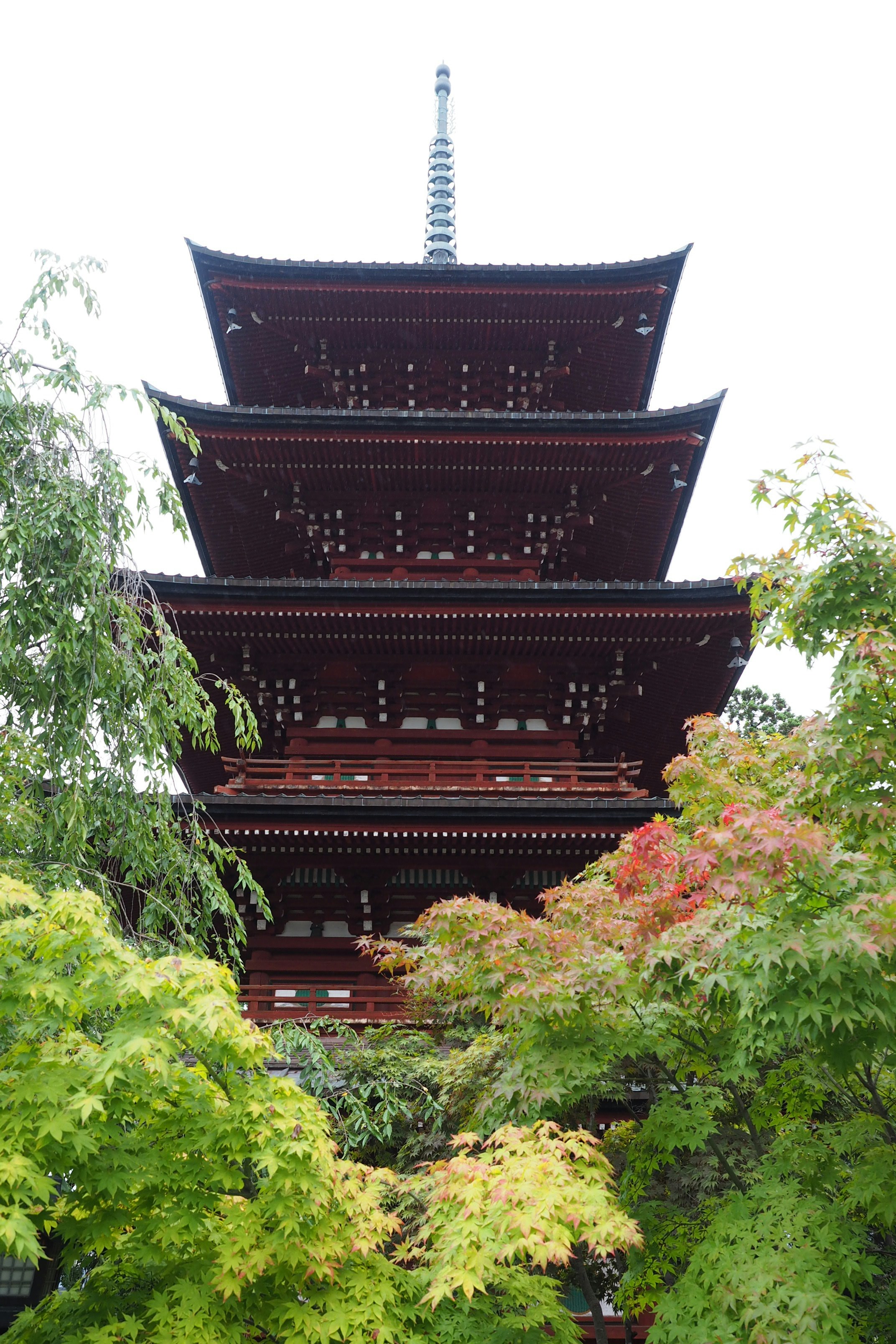 Five-story pagoda partially obscured by vibrant autumn foliage, showcasing traditional Japanese architecture amidst natural beauty.