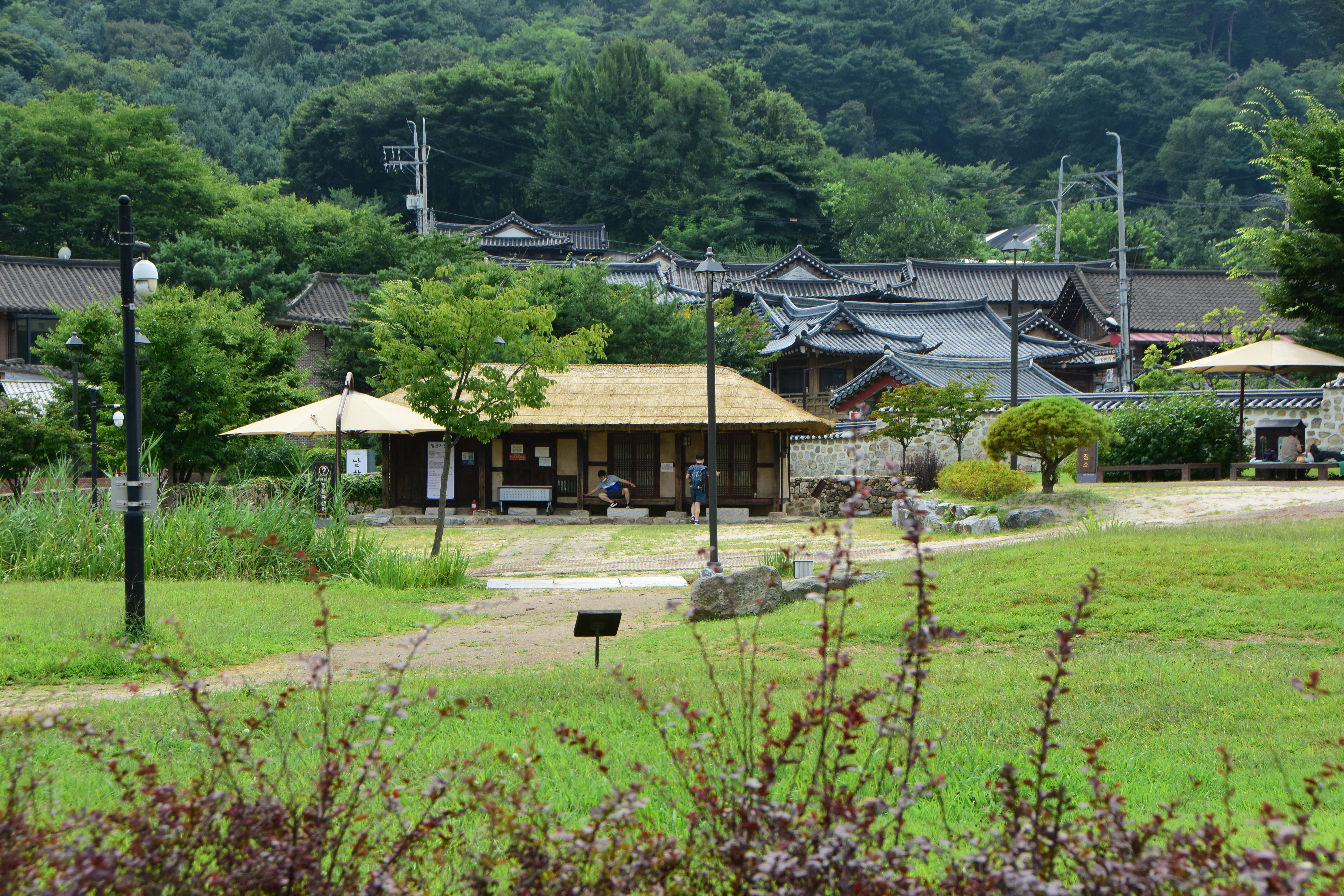 Photo by Peter Kee with Nikon D7200