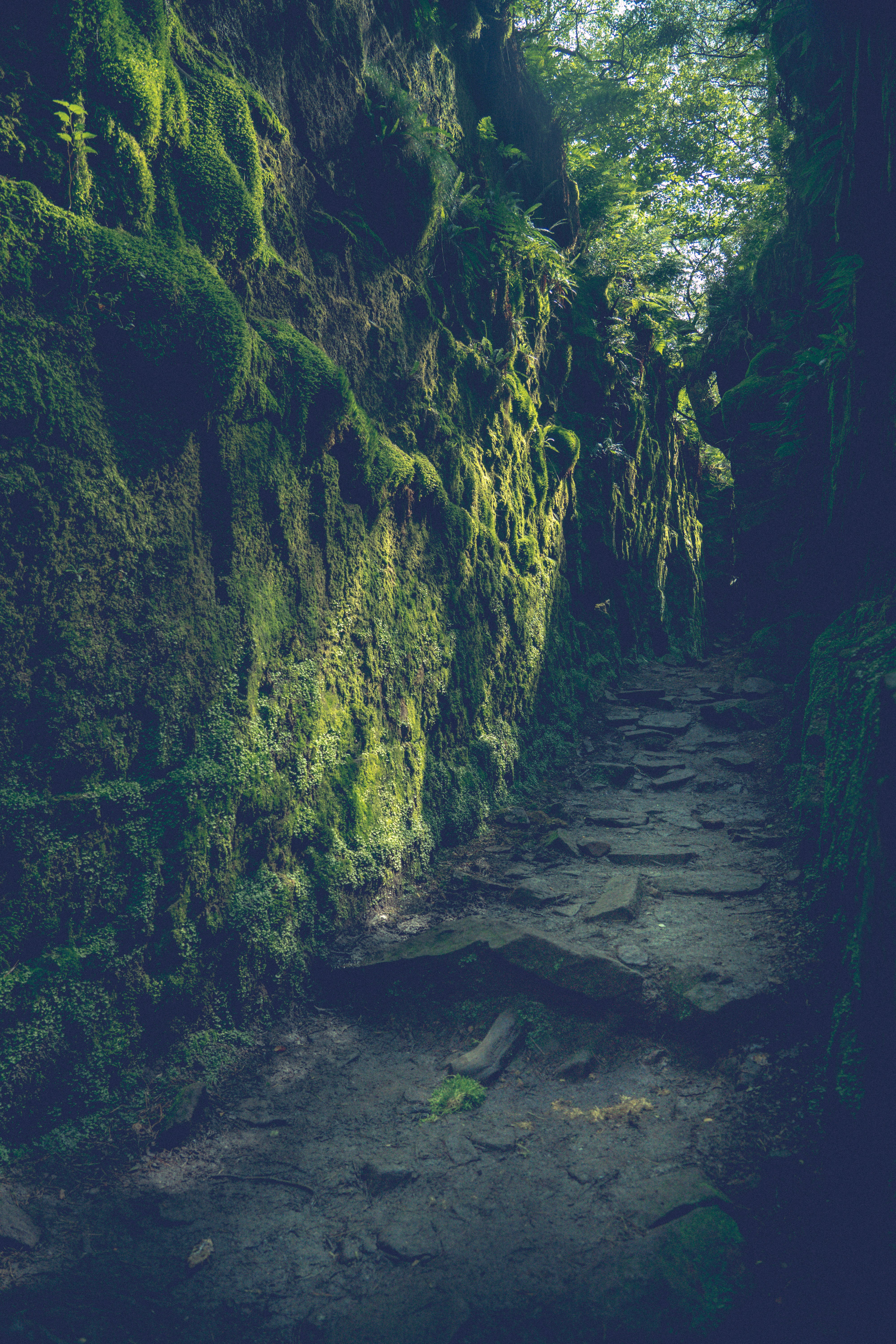 Narrow stone pathway flanked by lush green moss-covered walls, leading towards a bright opening above. The scene evokes a sense of adventure and tranquility.
