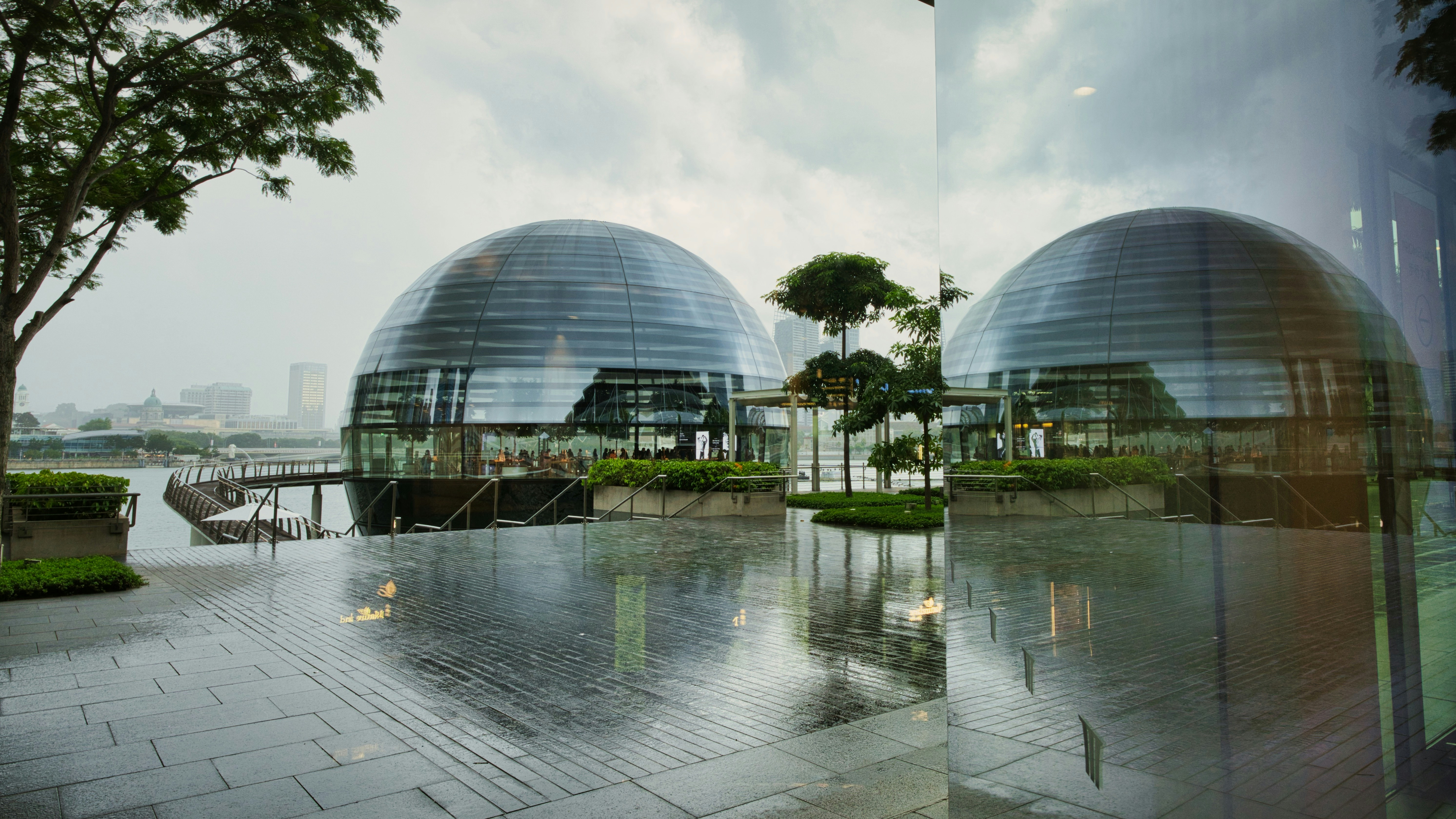 Contemporary domed structures reflect in wet pavement under an overcast sky, showcasing a blend of architecture and nature.