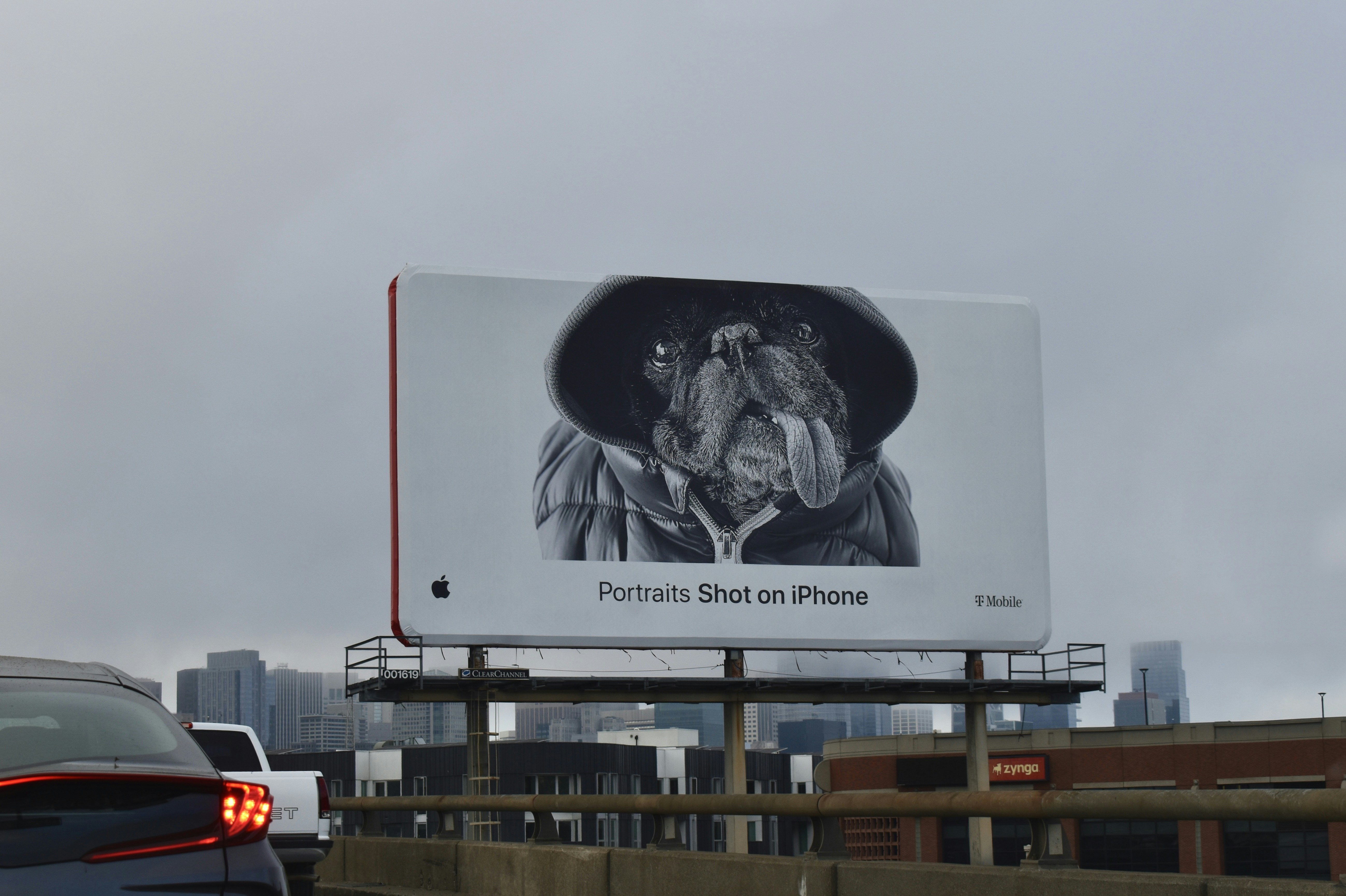 Shot on iPhone, animal portraits  | man in black hat and black jacket holding a book