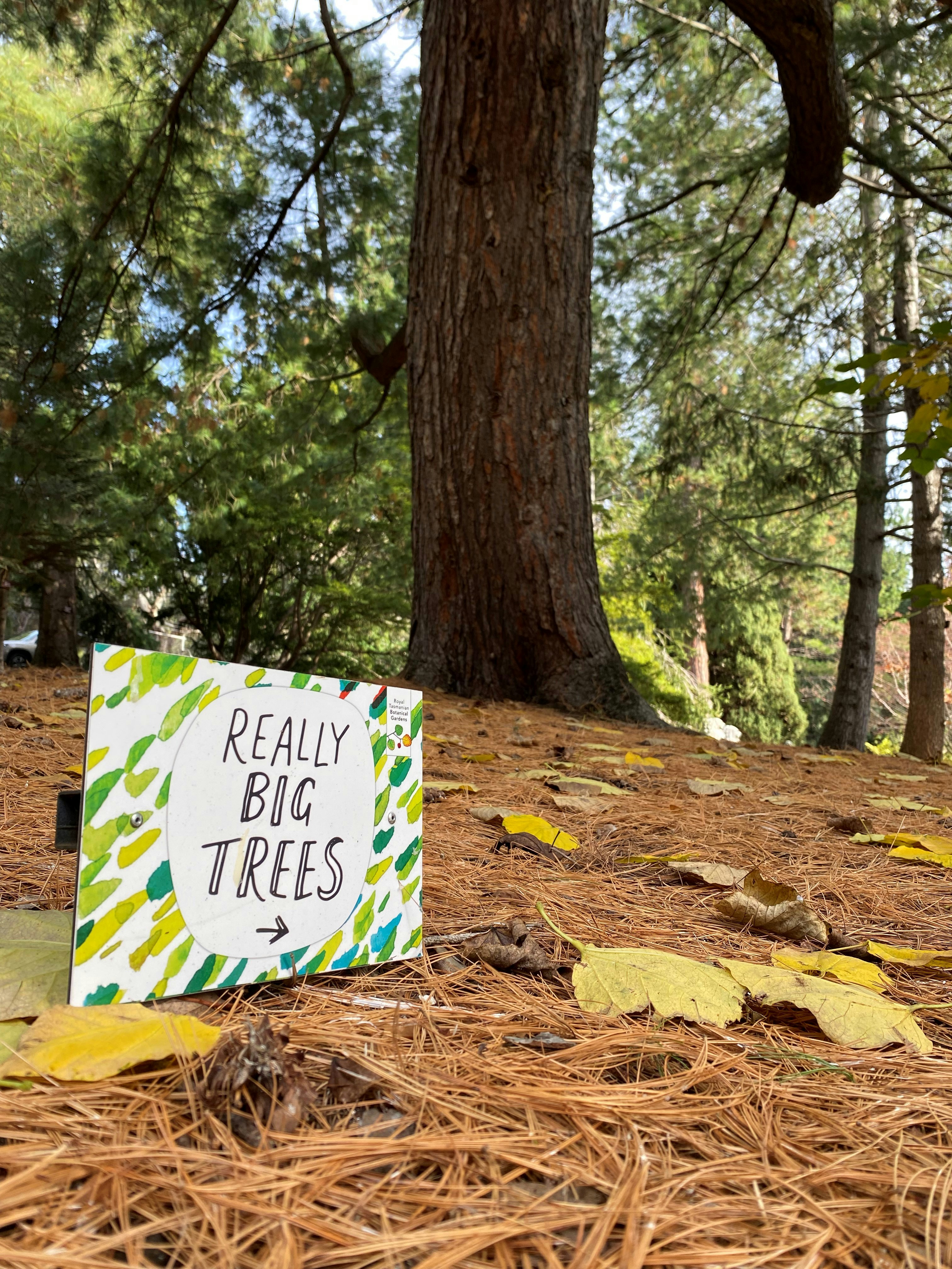 Photo by Caitlin James with Apple iPhone 11