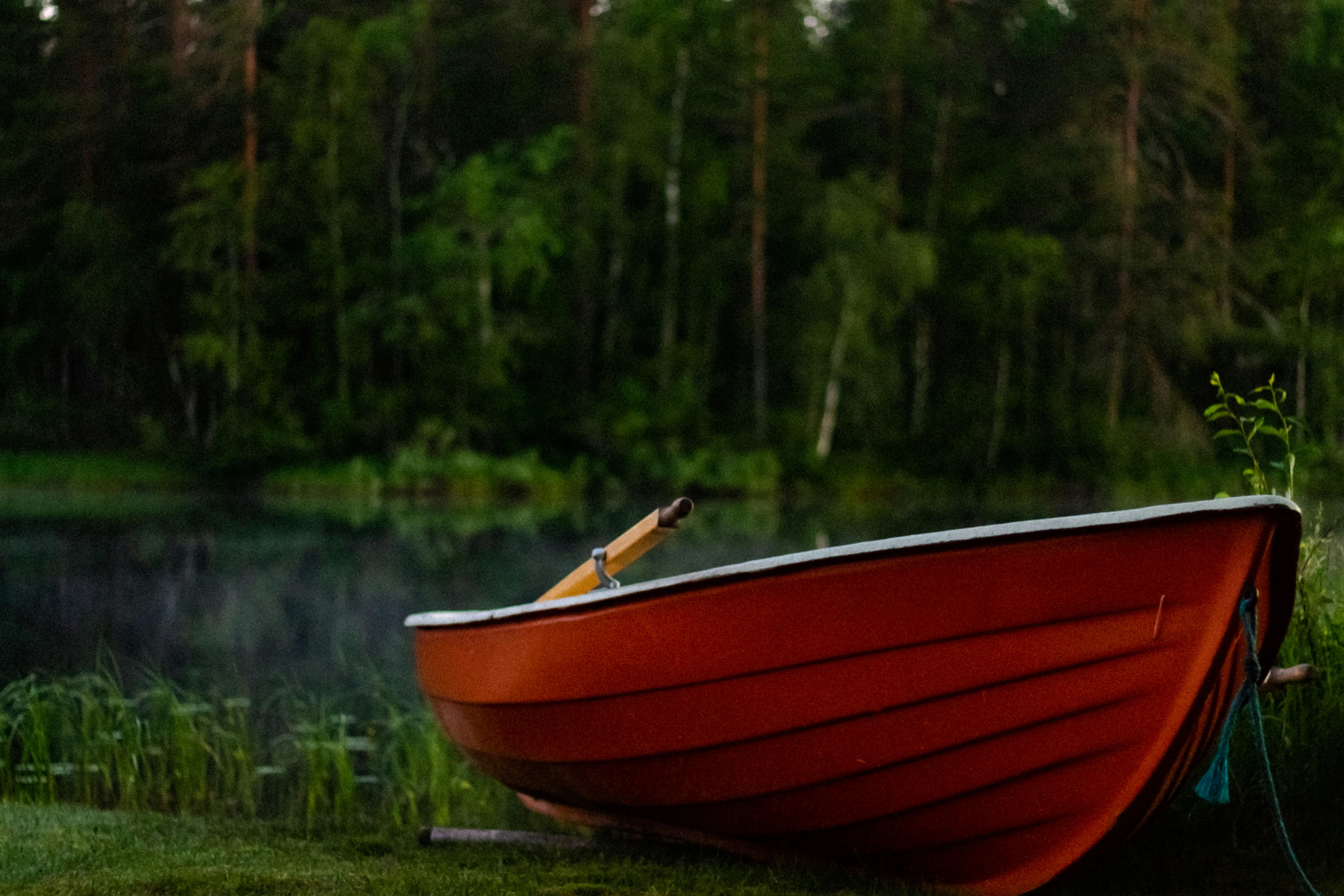 Crimson Rowboat Quietly Resting on the Shore by a Forest-Backed Lake