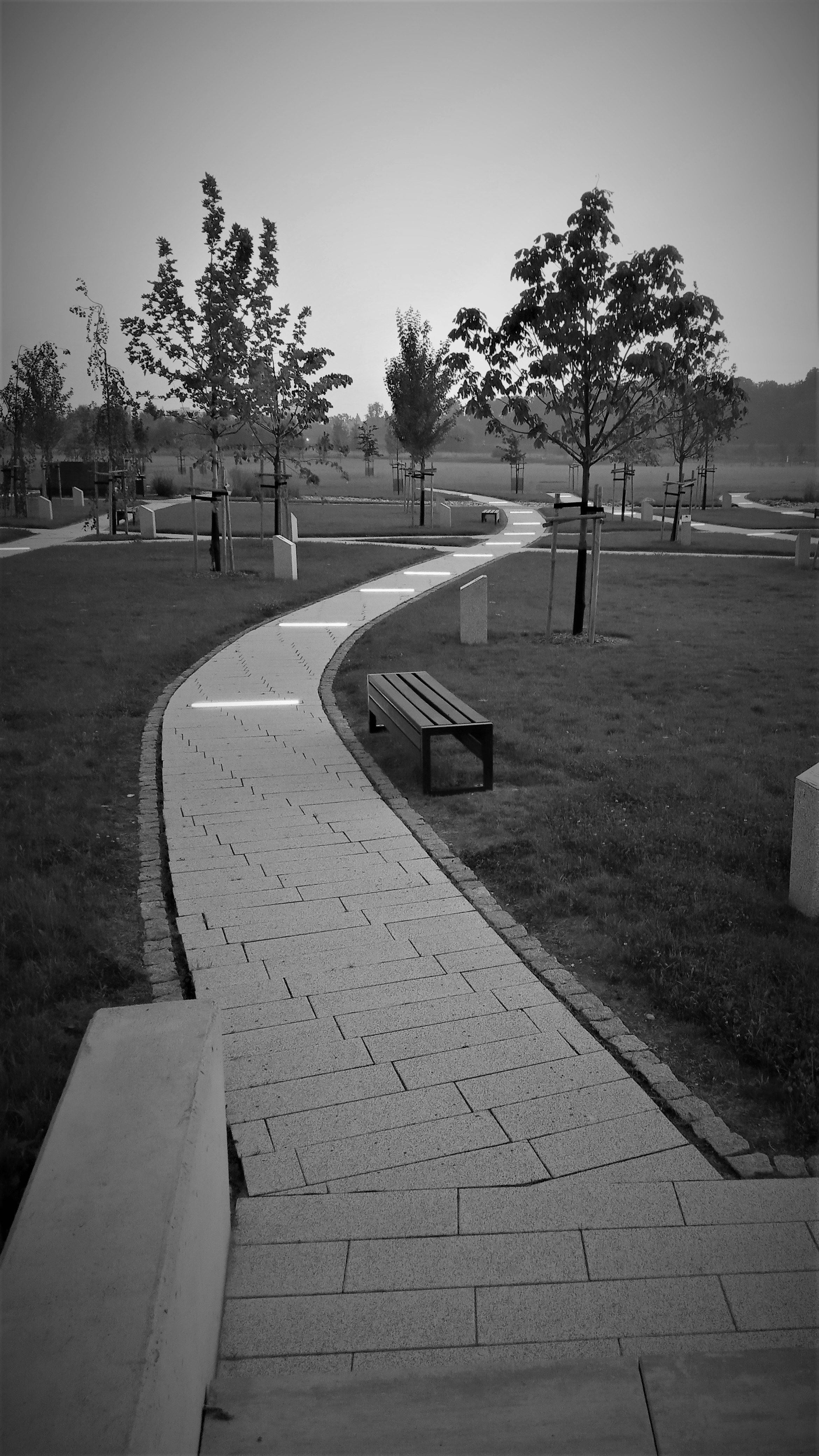 Monochrome photograph of a curving park walkway flanked by young trees and benches, receding toward the hazy horizon.