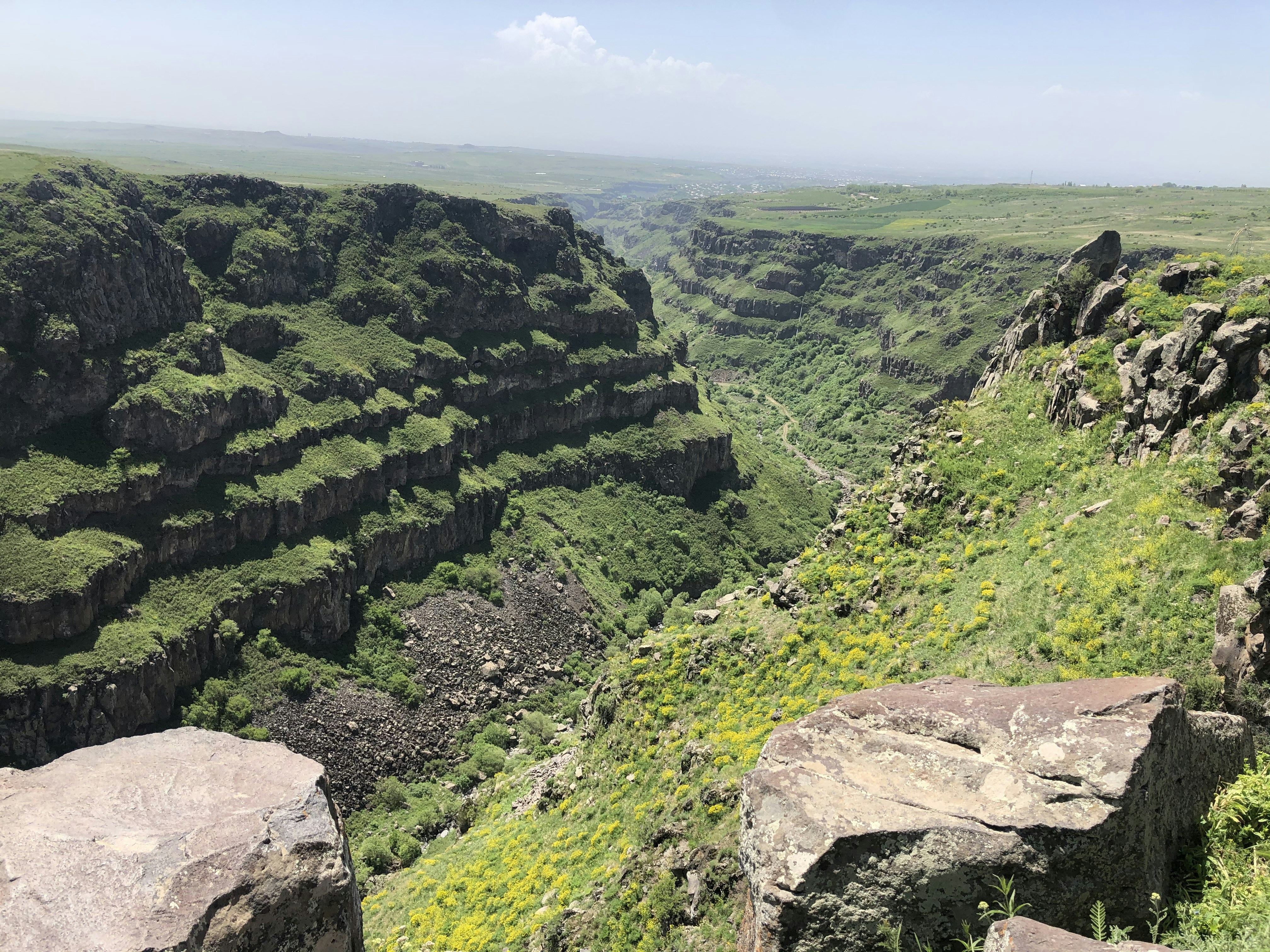 Vast canyon landscape with terraced rock formations and lush greenery, showcasing the intricate patterns of nature. Bright wildflowers dot the scene.