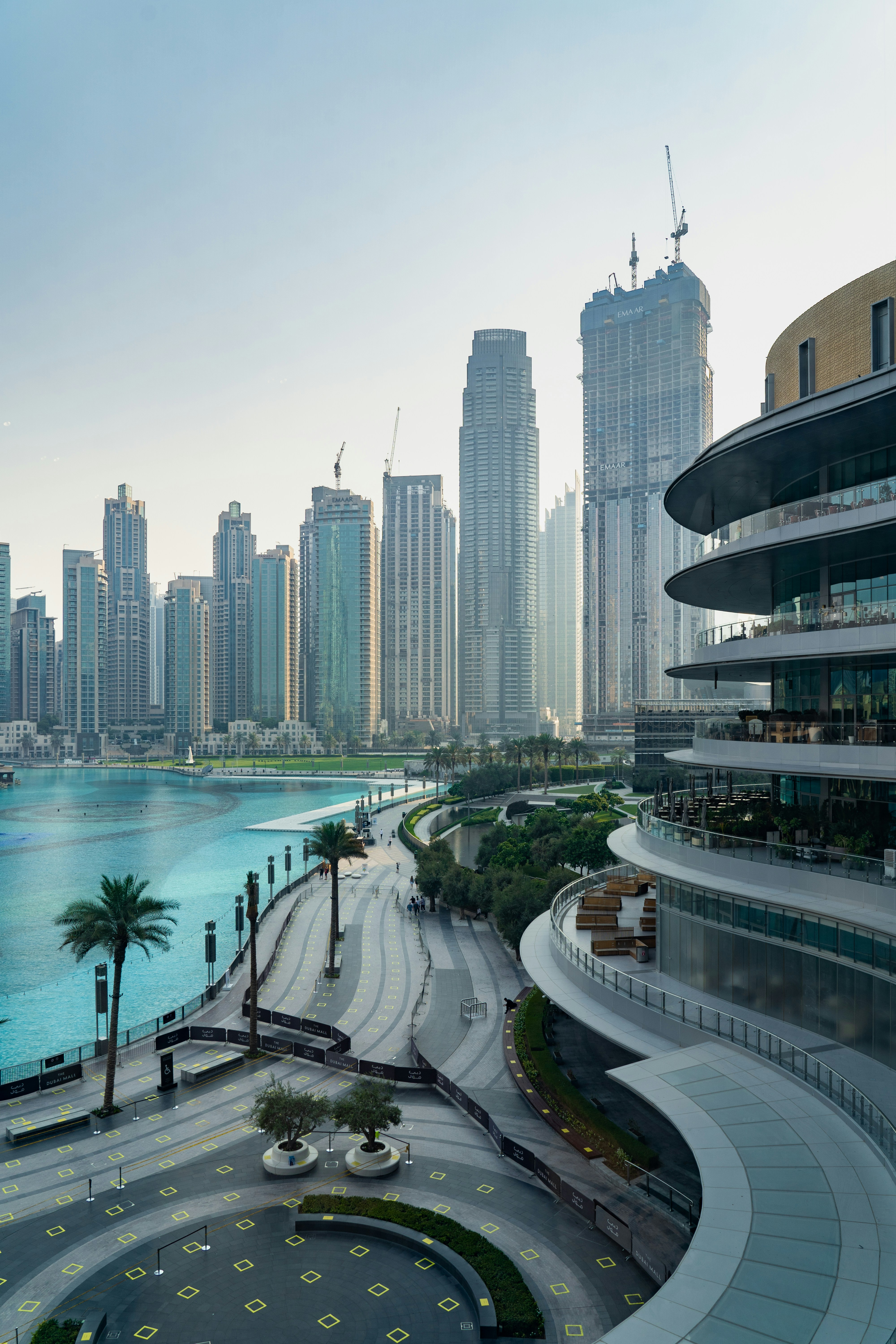 A serene waterfront scene showcasing a modern skyline with towering skyscrapers and lush palm trees along the promenade. The tranquil water reflects the architectural beauty.