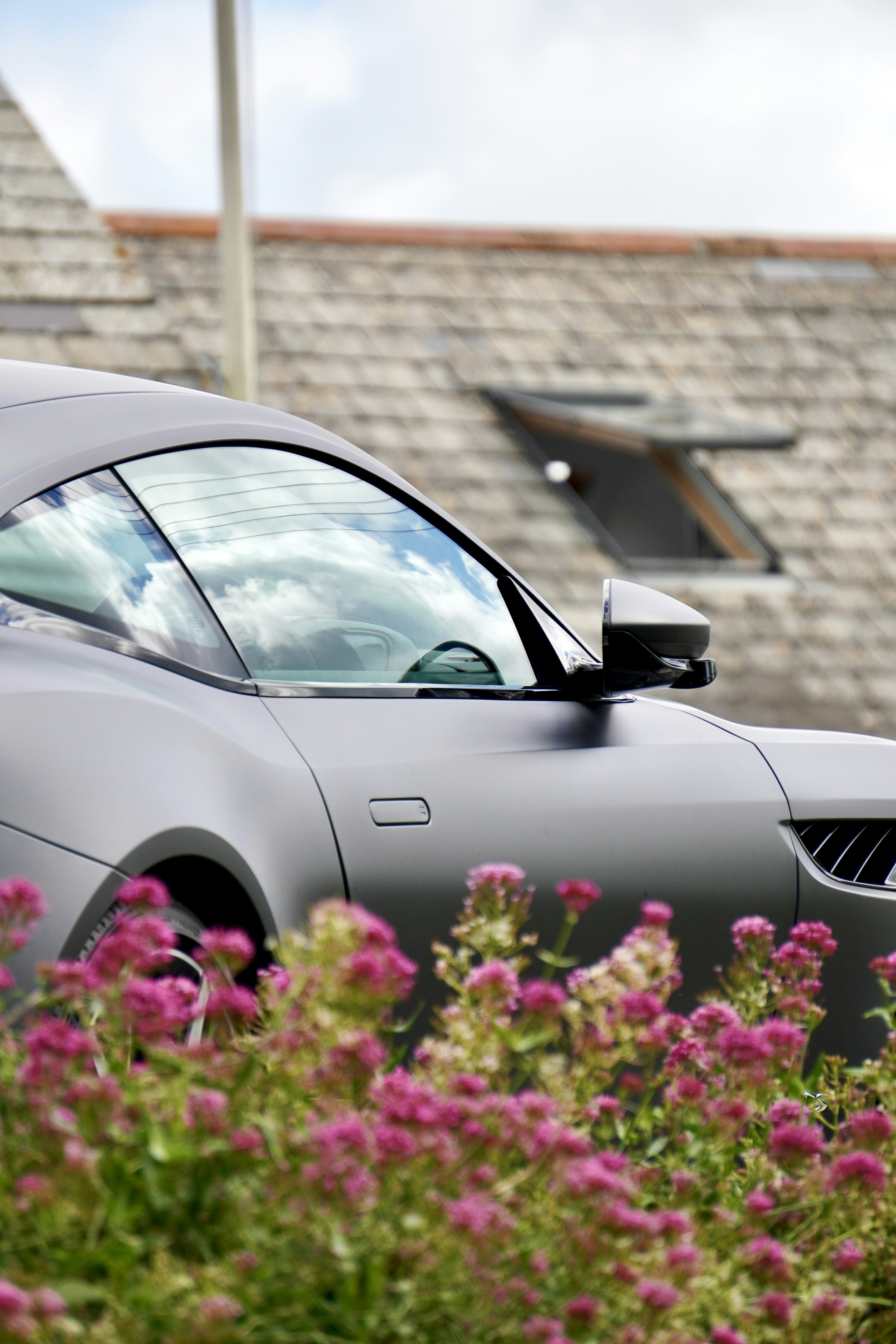 Silver Coupe, Quiet Garden Bloom