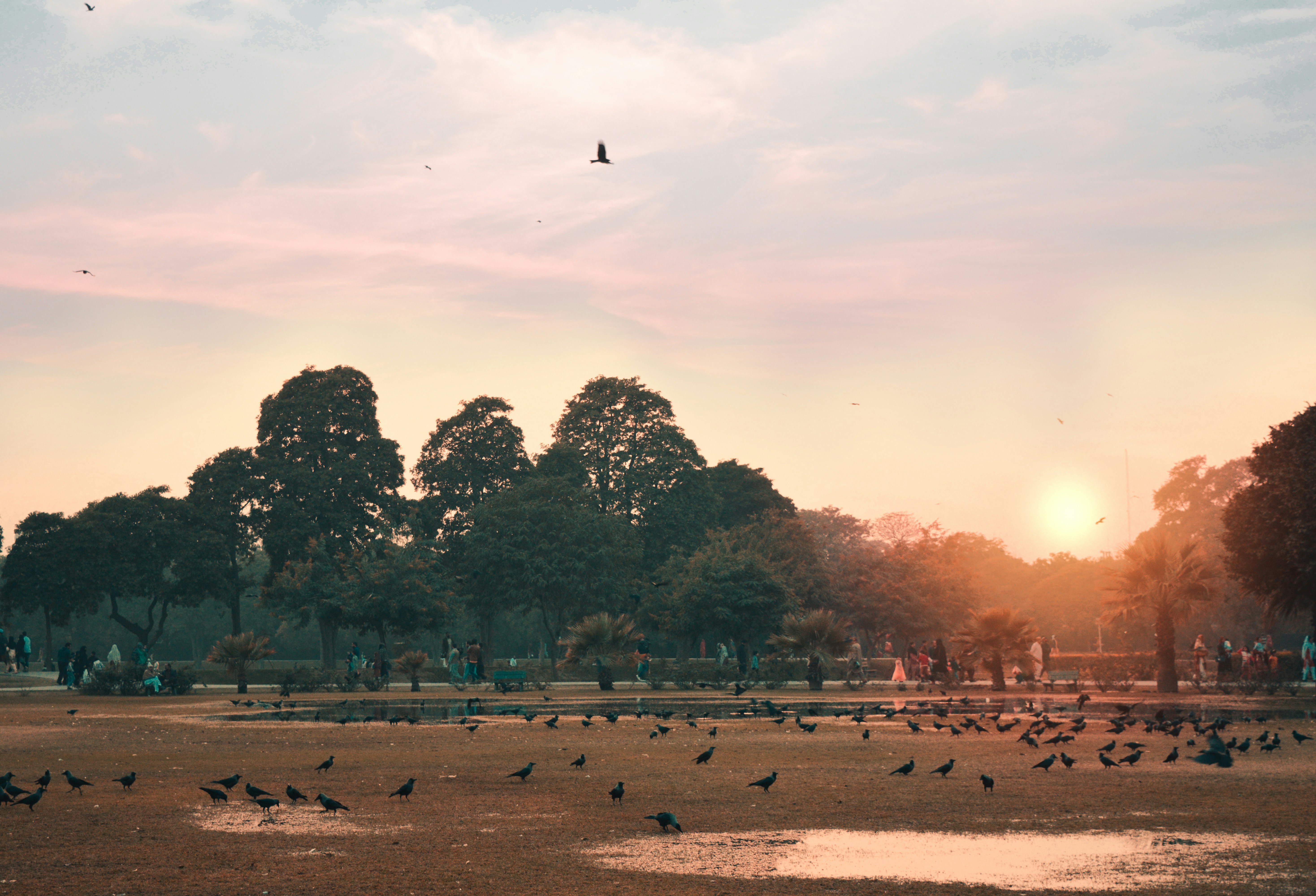 Twilight Serenade Over the Park