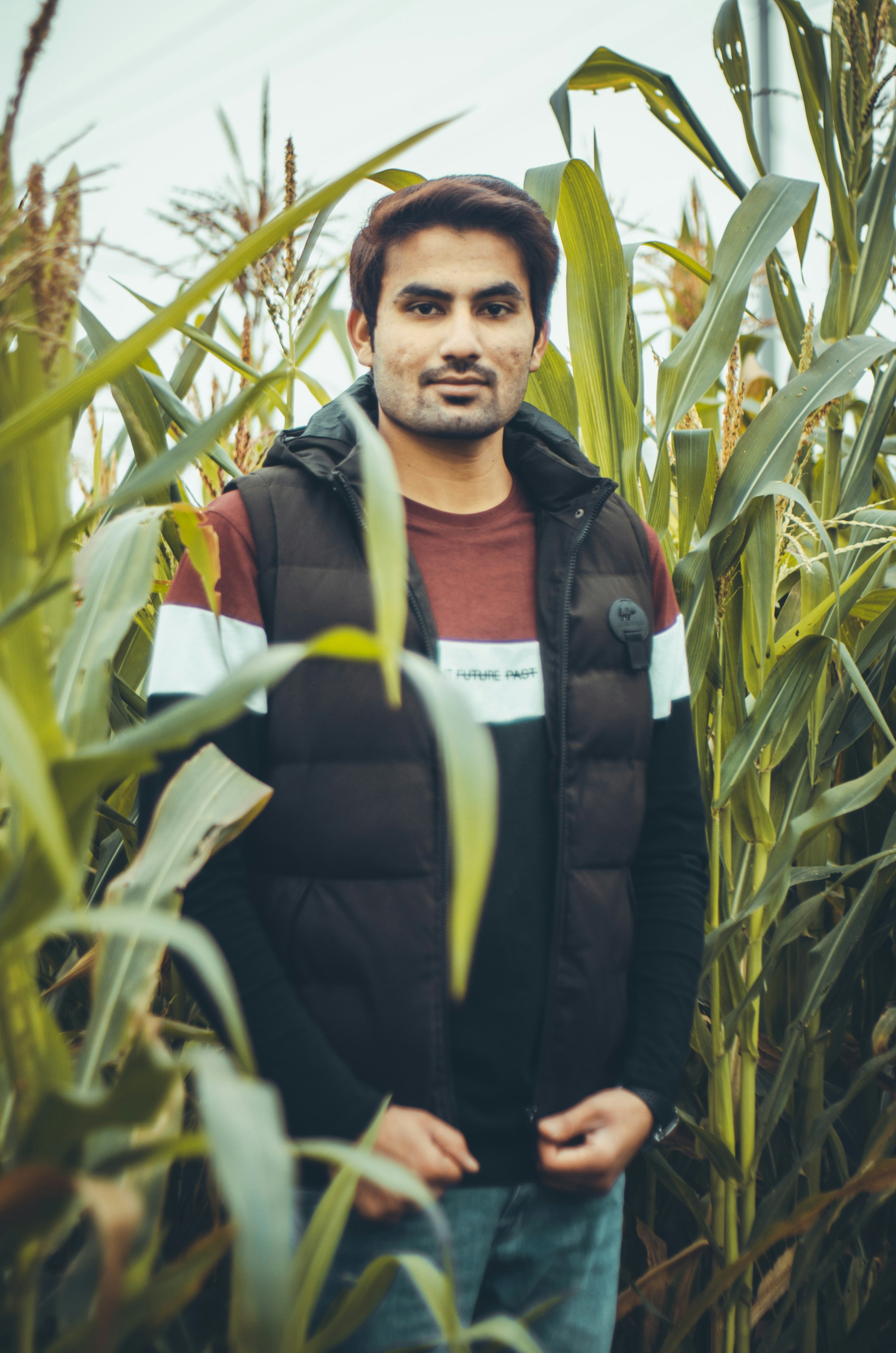 Man in black jacket standing in corn field photo – Free Ārifwāla Image ...