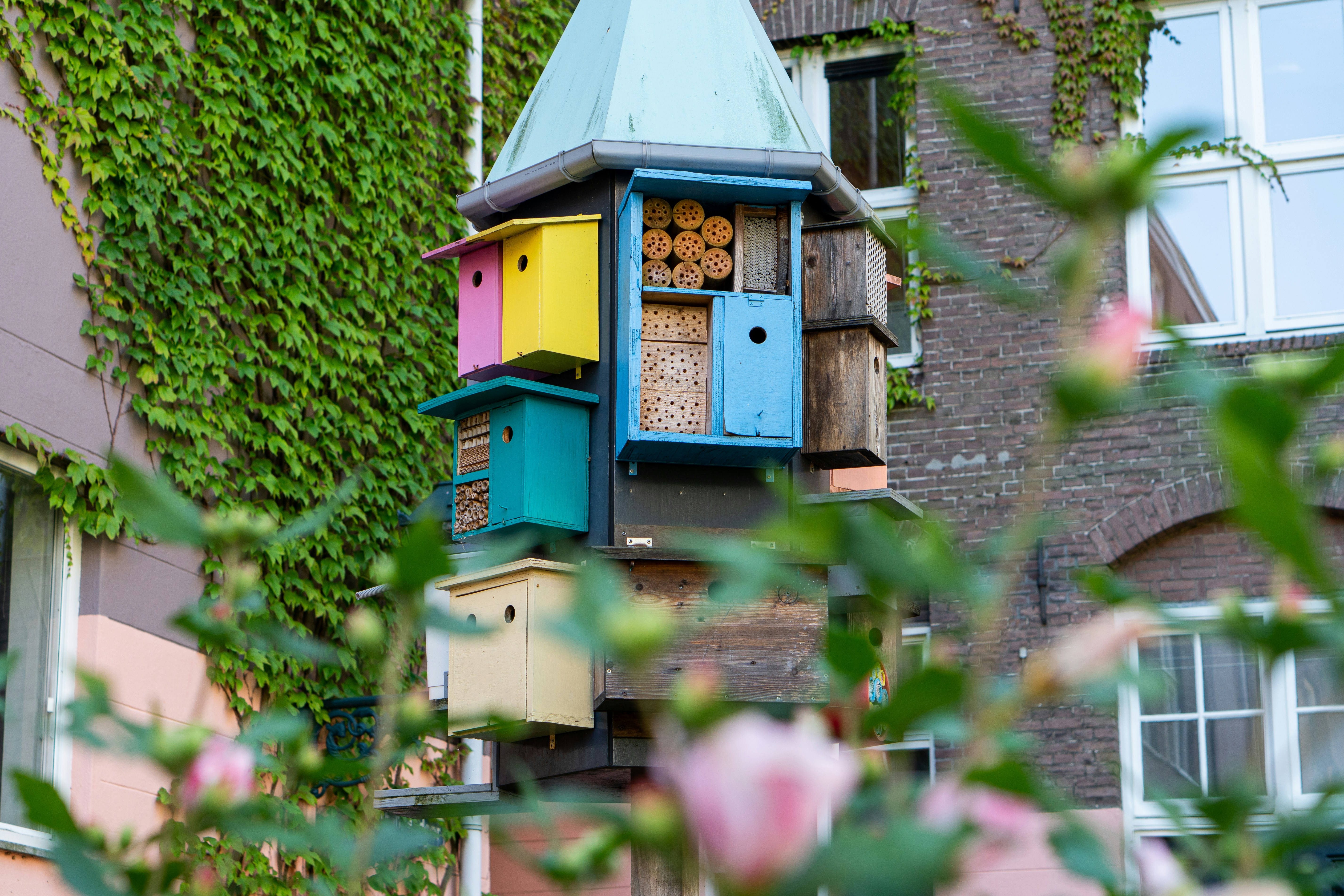 A vibrant insect hotel featuring various compartments for bees and other pollinators, set against a backdrop of ivy-covered walls. The scene is framed by blooming flowers in the foreground.