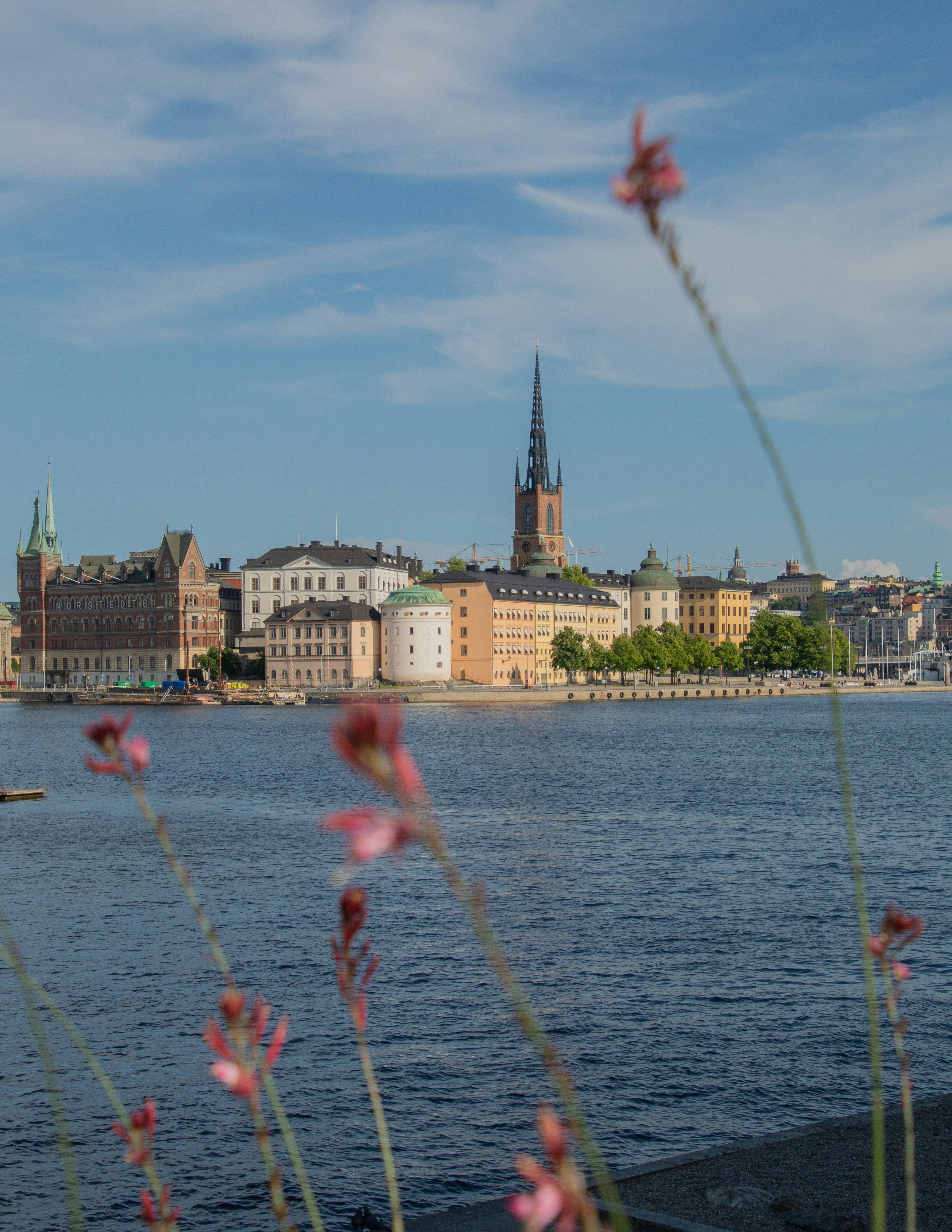 Harbor Skyline through Sea-in-Bloom