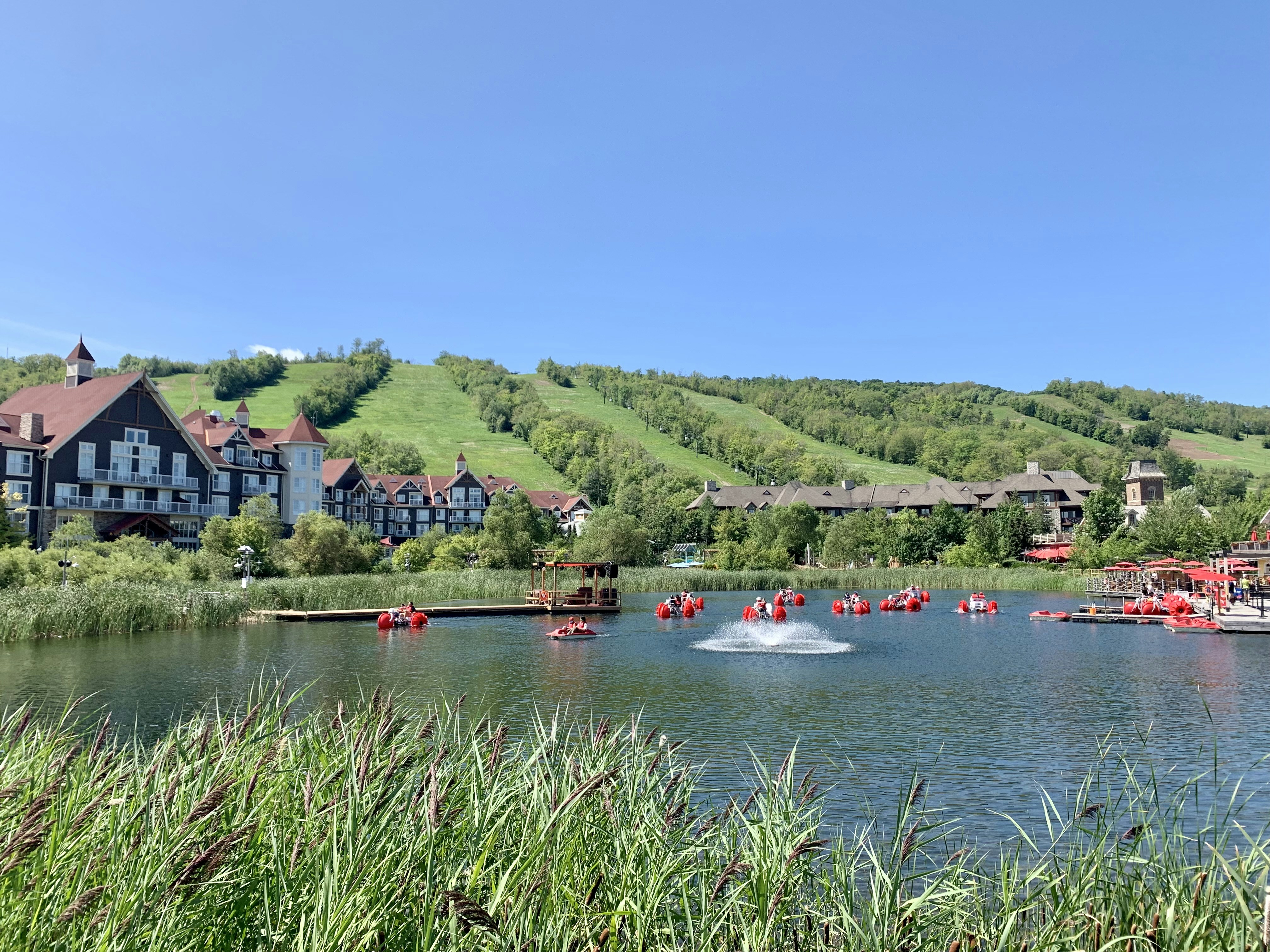 Blue Mountains from the Mill Pond. August 15, 2021.