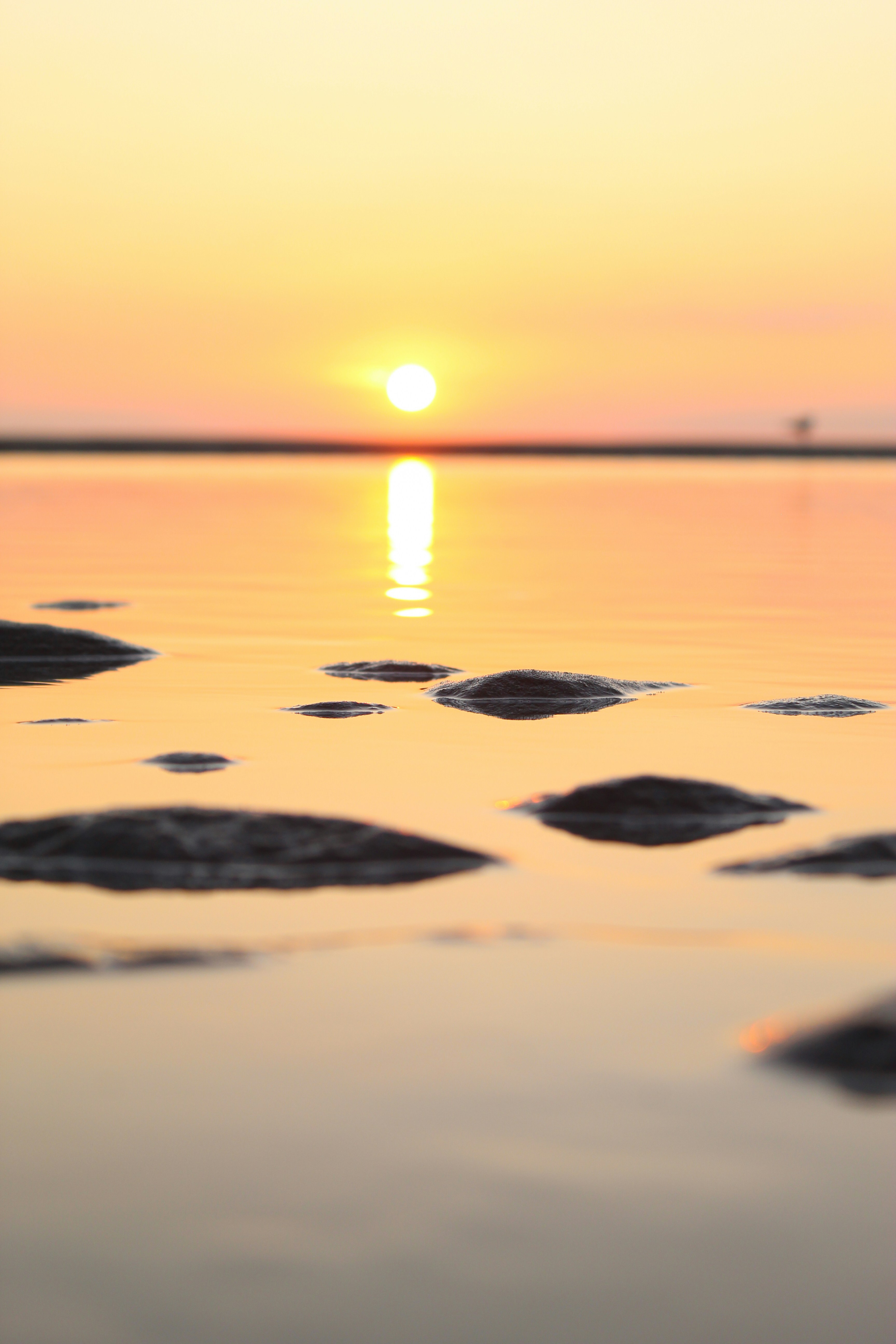 Solar Echoes on Calm Tide: A Quiet Beach at Sunset