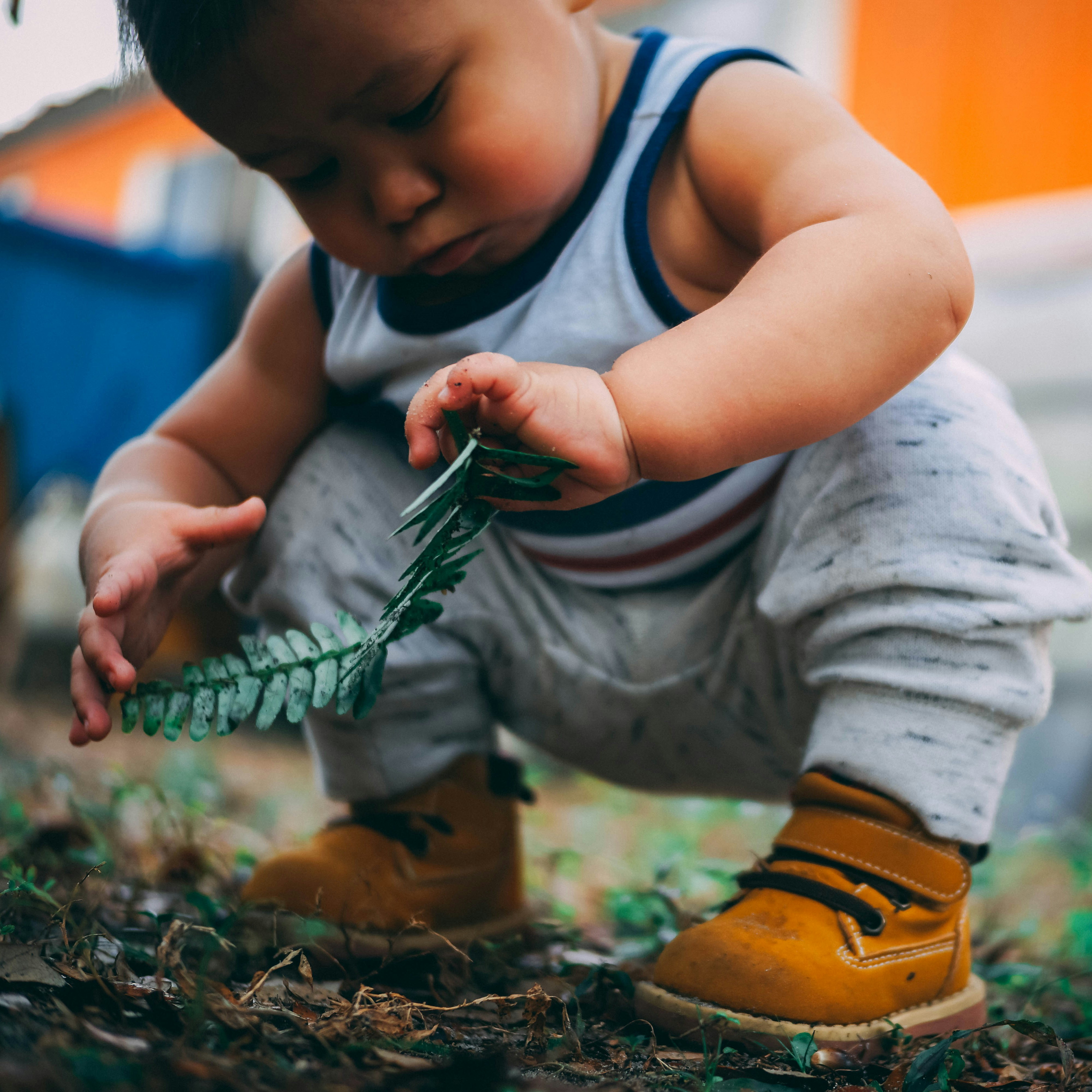 Toddler exploring a green fern while crouched on the ground, surrounded by earthy tones and soft textures.