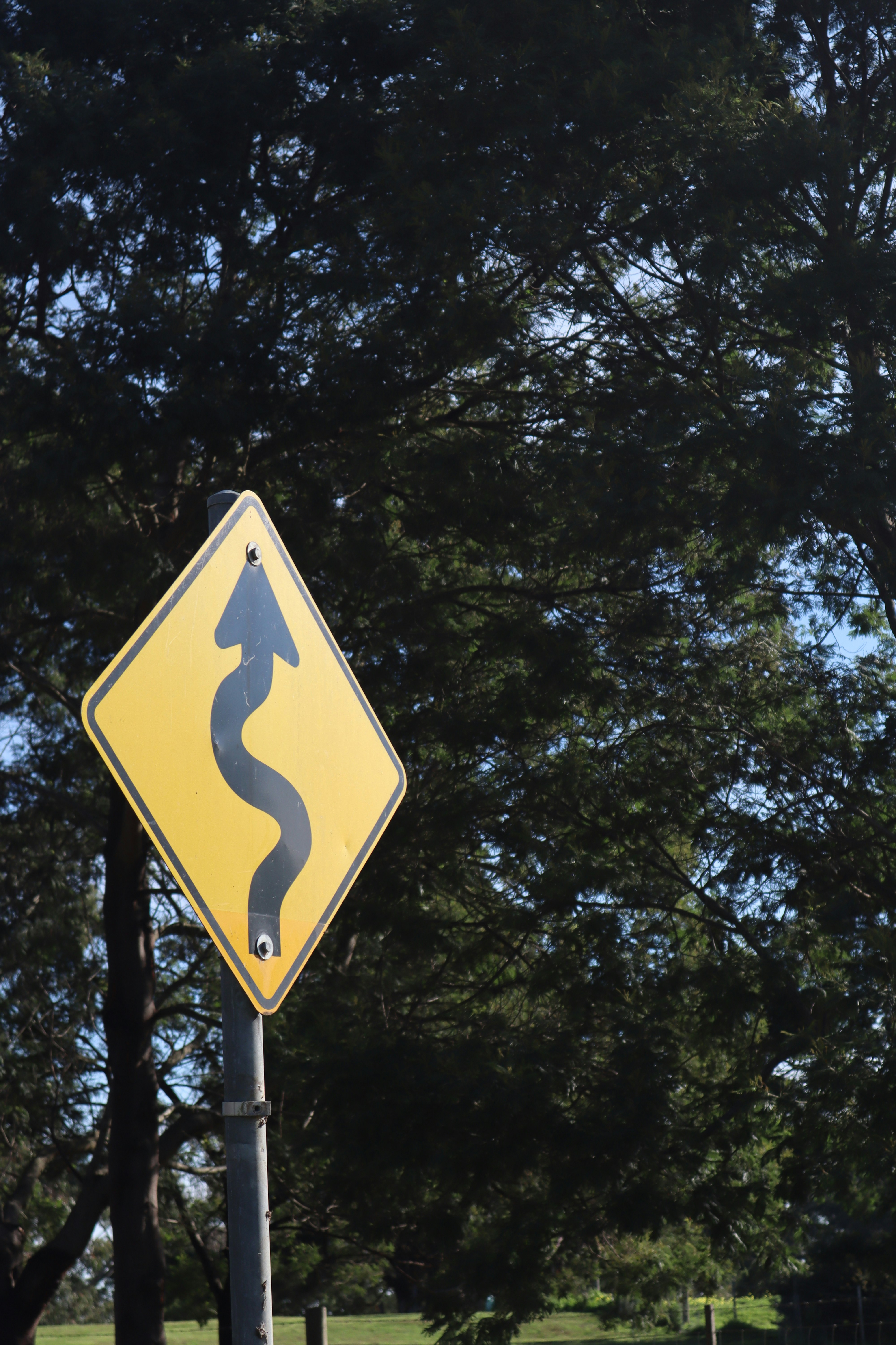 White and blue arrow sign photo – Free Road sign Image on Unsplash