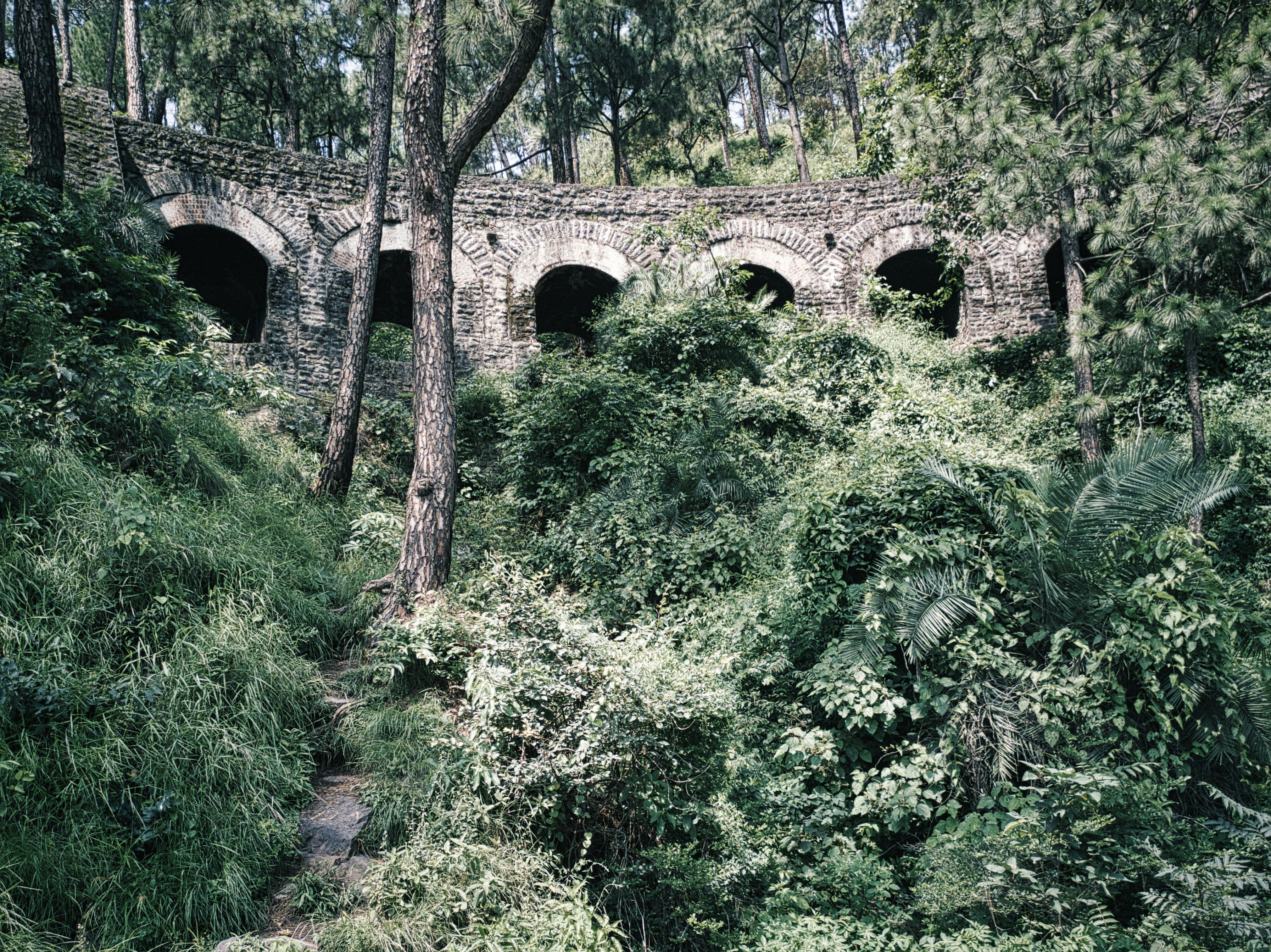 Ancient stone arches partially obscured by lush greenery in a serene forest setting.