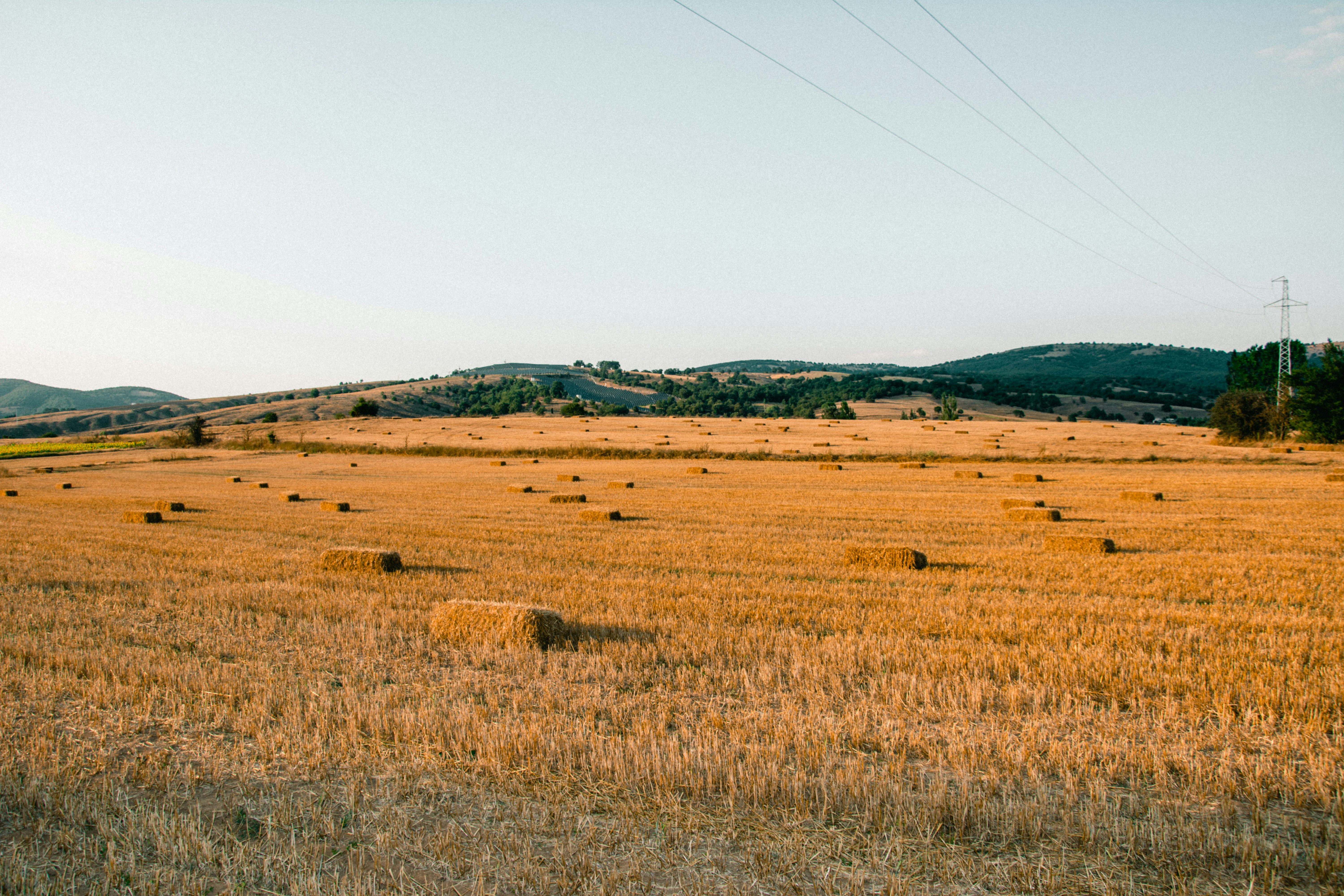 Brown grass field under blue sky during daytime photo – Free Nature ...