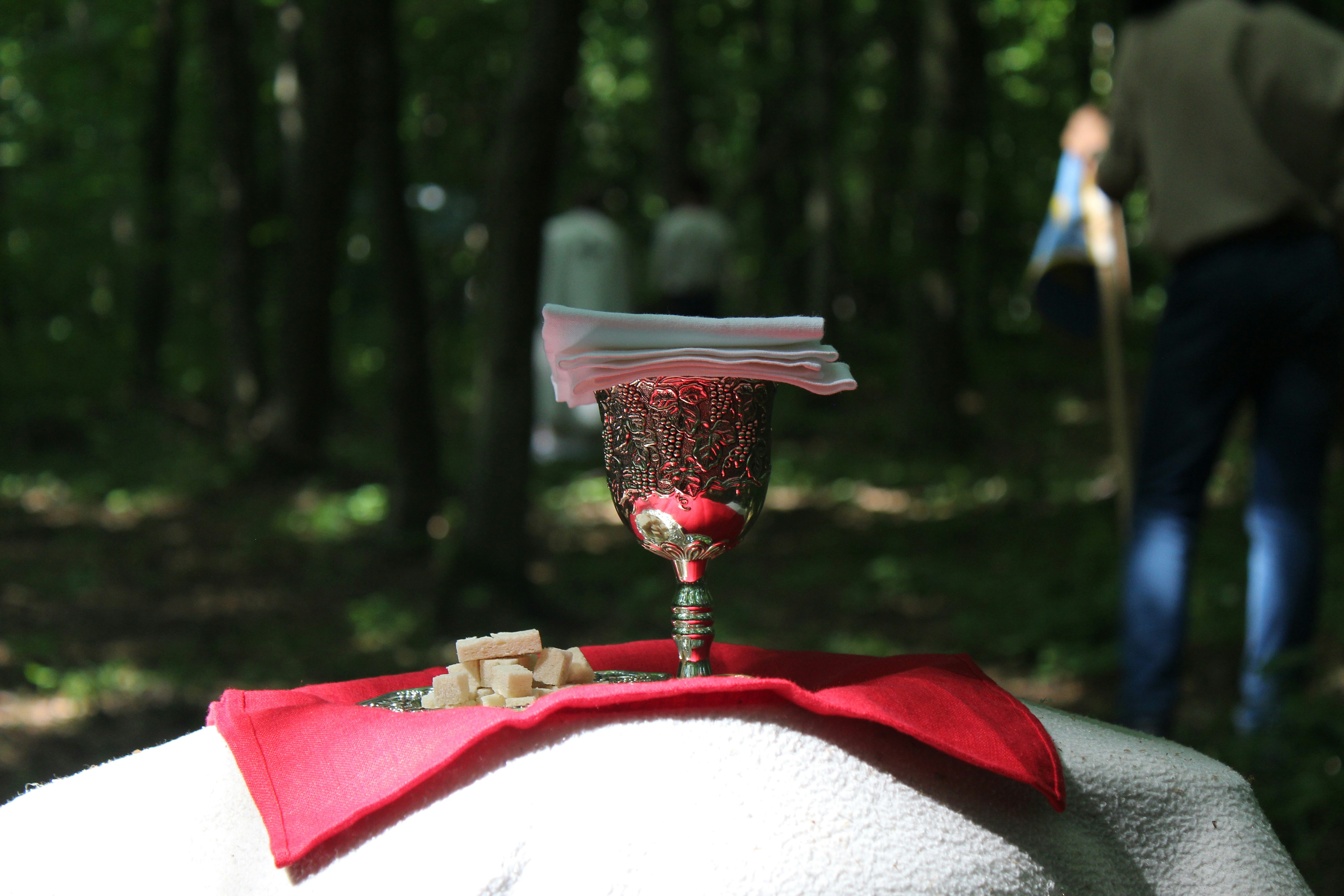 Crimson Toast Under the Pines: A Tiny Ceremony on Red Cloth