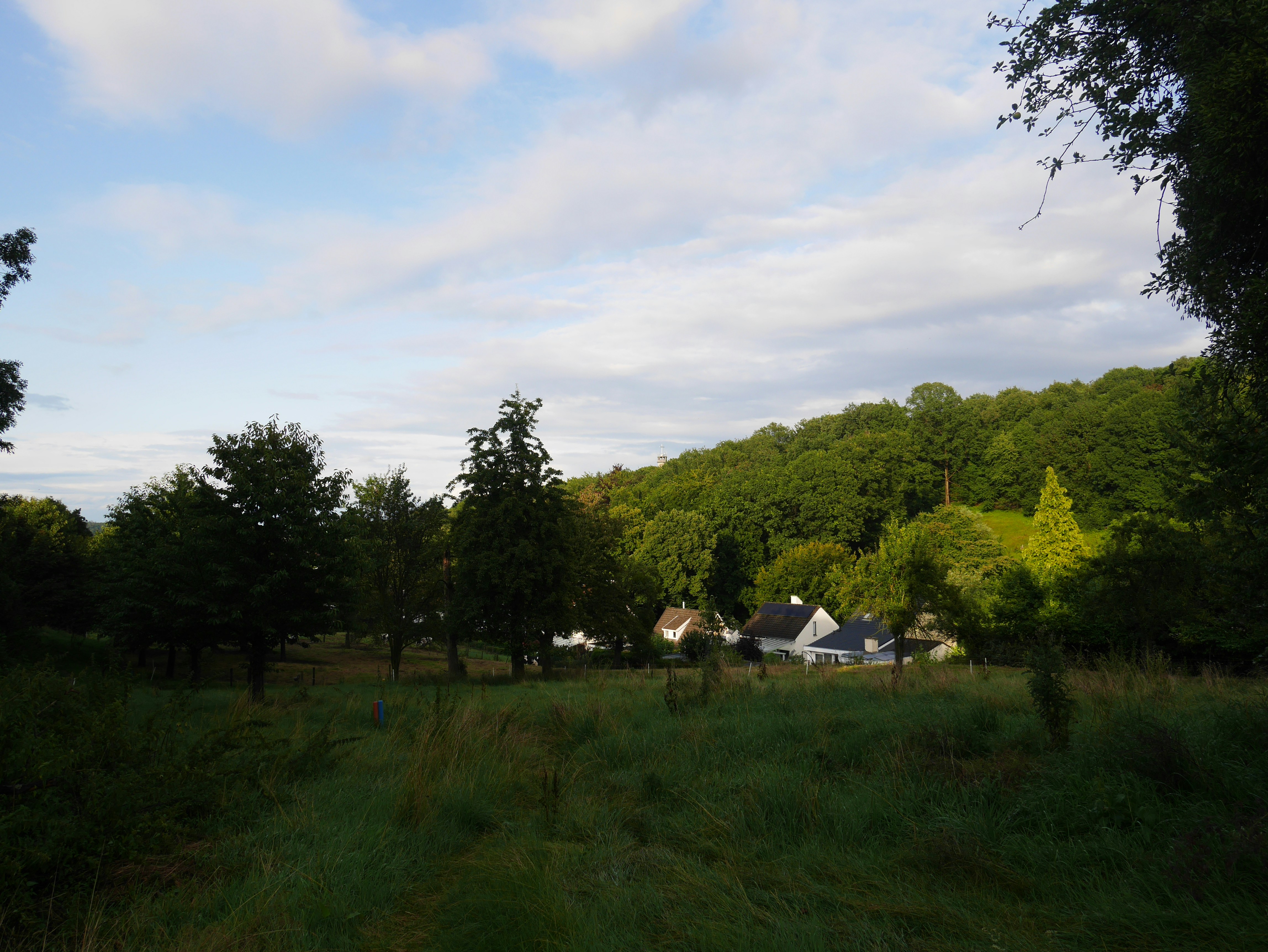 Small village nestled among lush green trees under a partly cloudy sky.