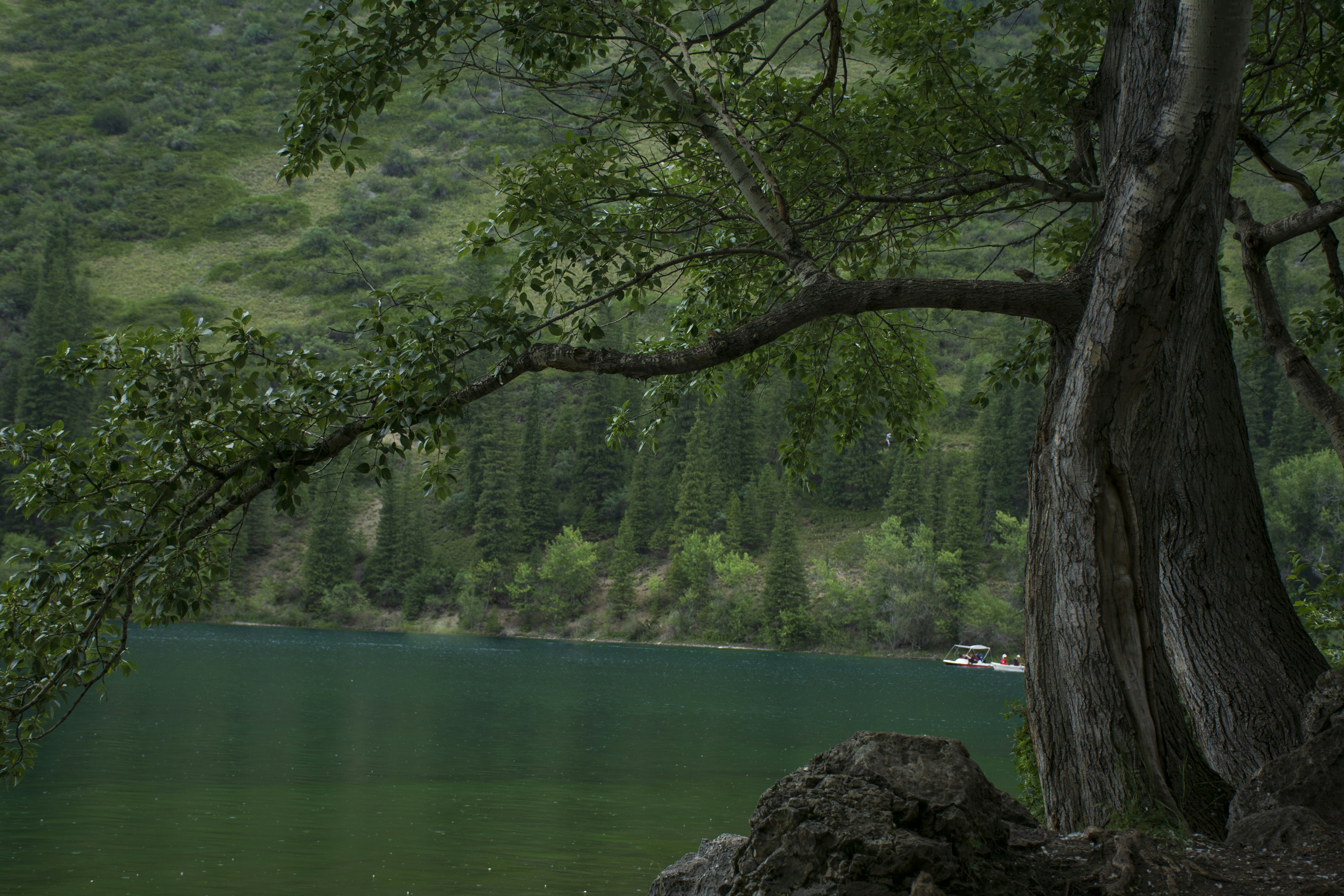 Green trees beside lake during daytime photo – Free Кольсайские озёра ...
