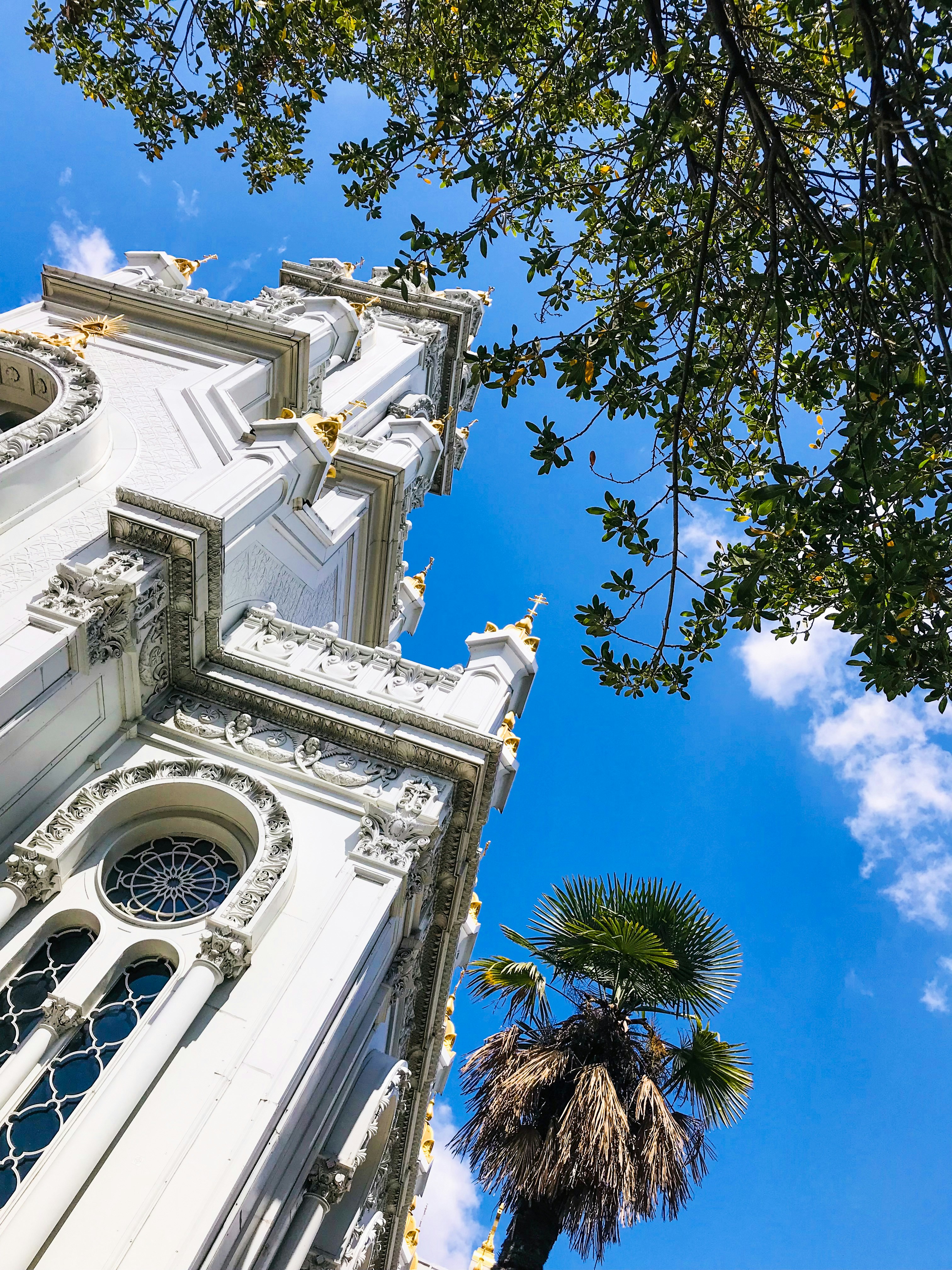 Ornate white tower adorned with golden details, rising against a bright blue sky, framed by lush green foliage and a palm tree.