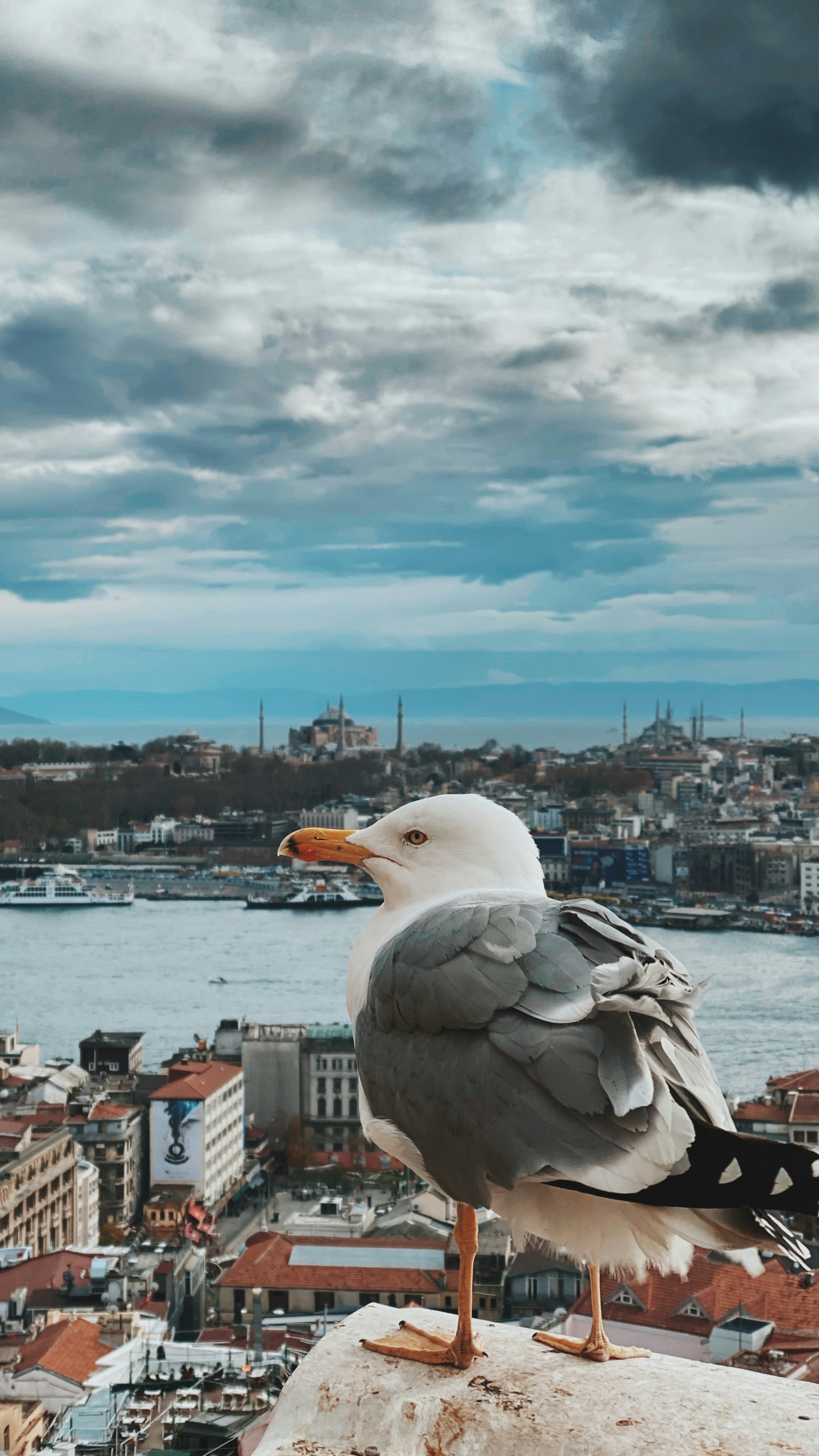 View from the Galata Tower