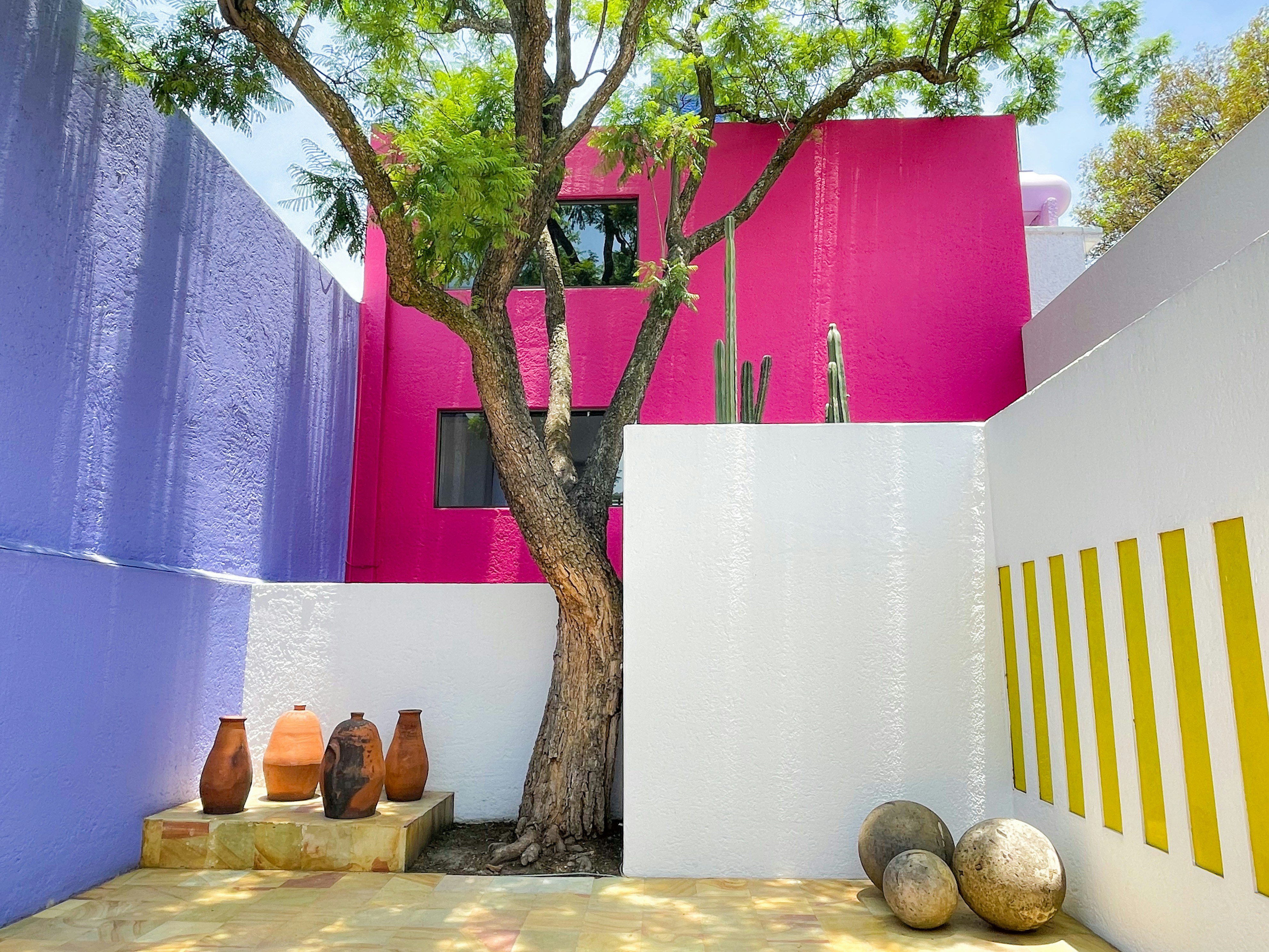 Colorful architectural design featuring a tree amidst striking purple and pink walls, complemented by terracotta pots and smooth stones.