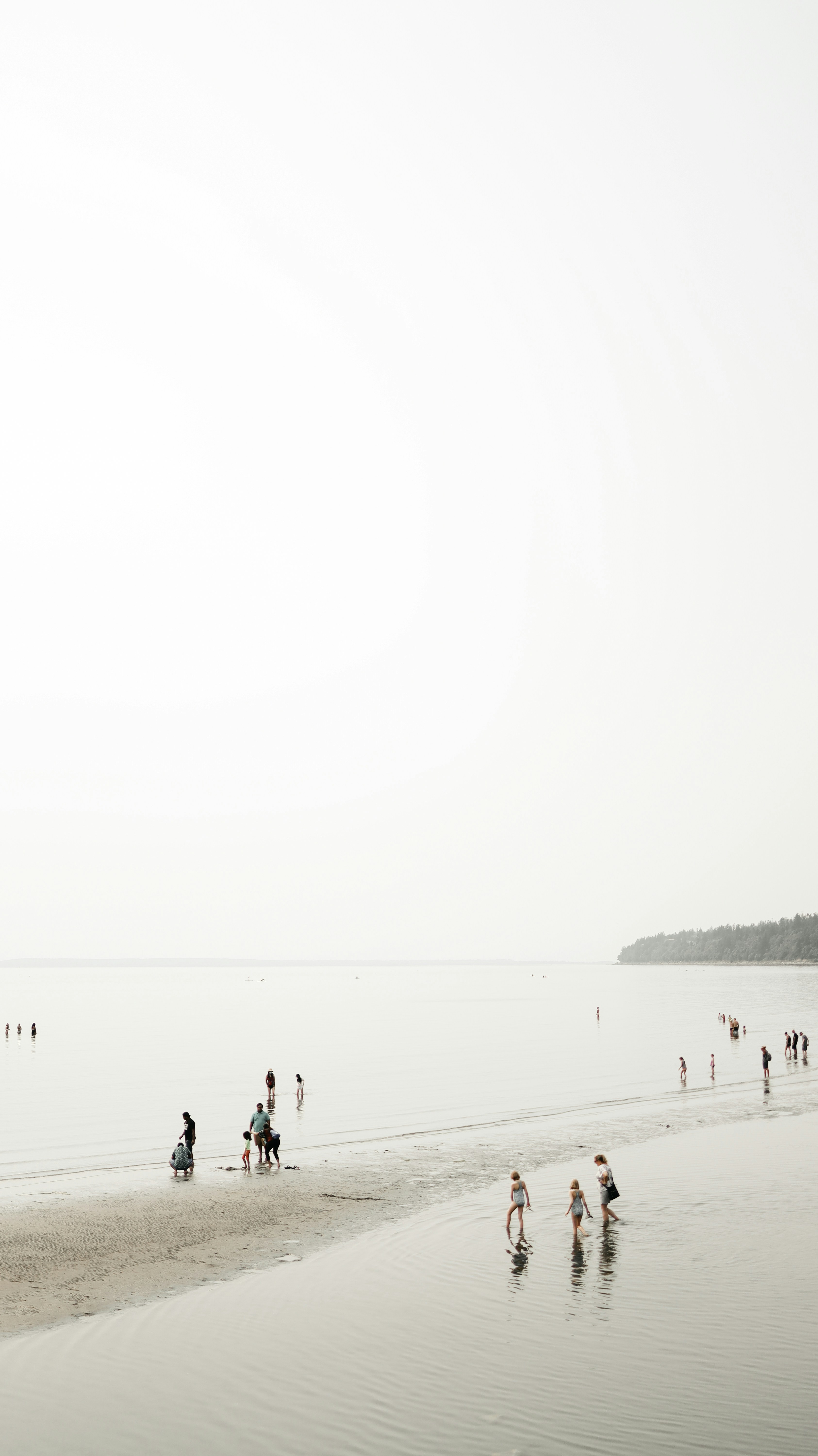 Soft Horizon at the Quiet Shore: Figures Along a Bleached Beach