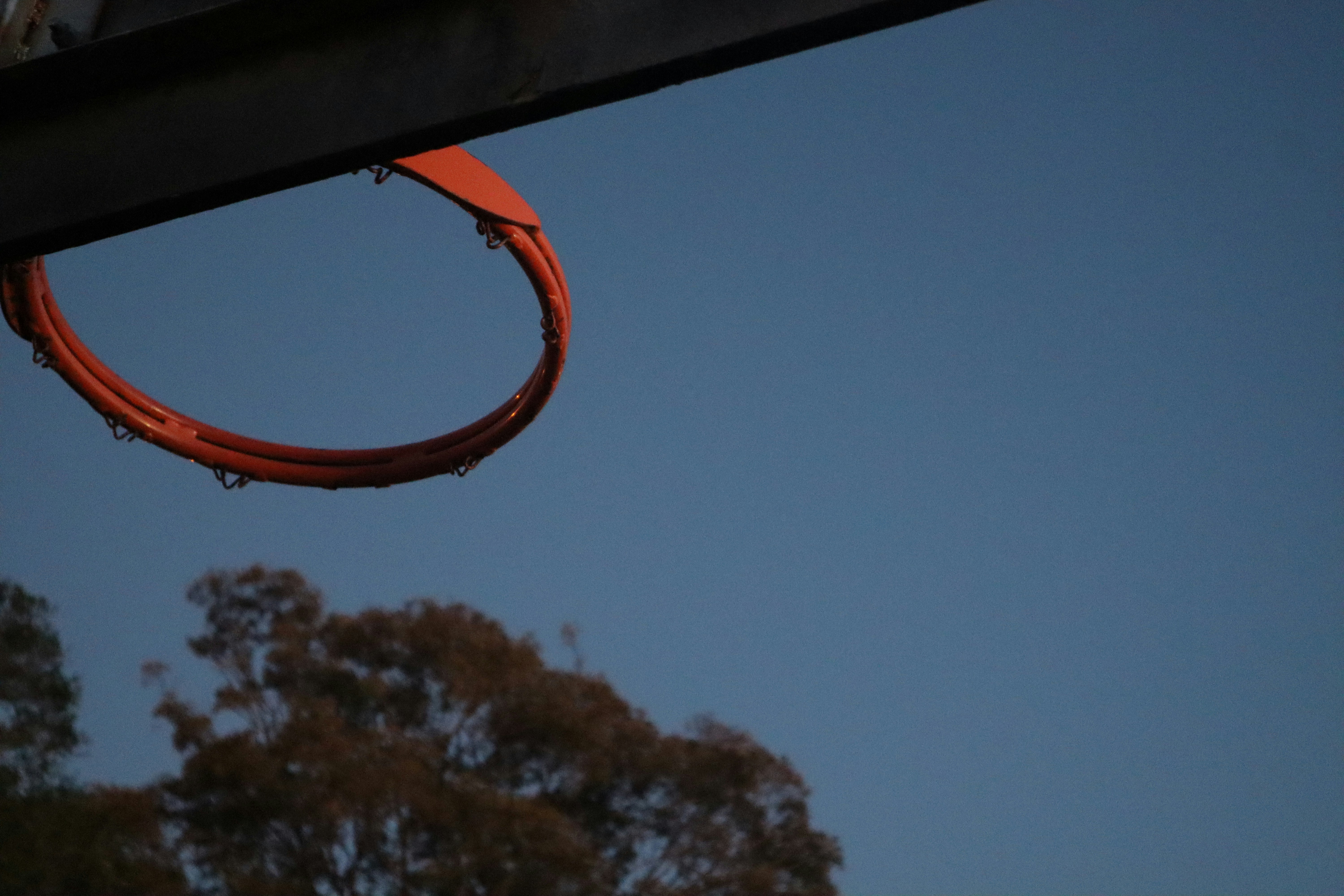 Orange basketball hoop near green trees during daytime photo – Free ...