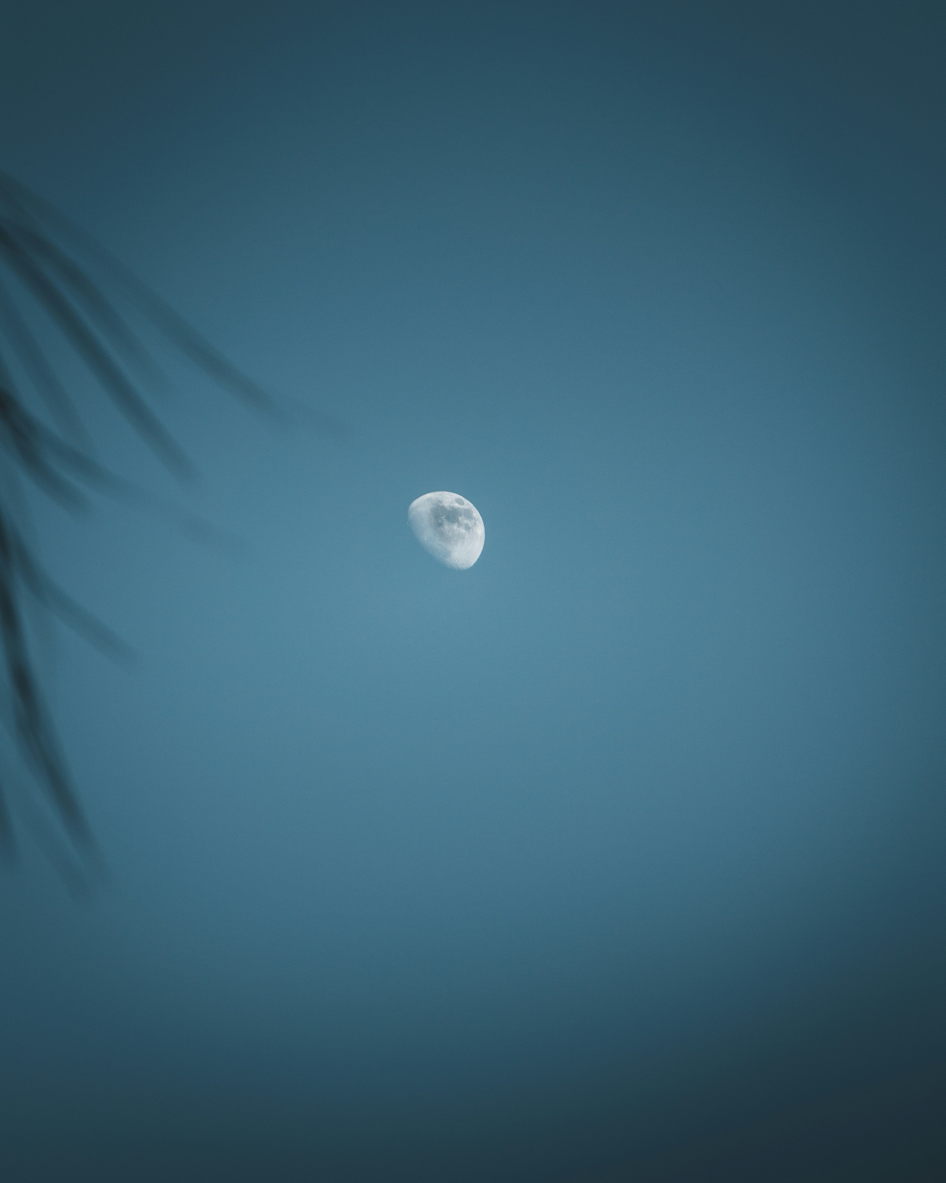 white moon in blue skyJonathan Kemper