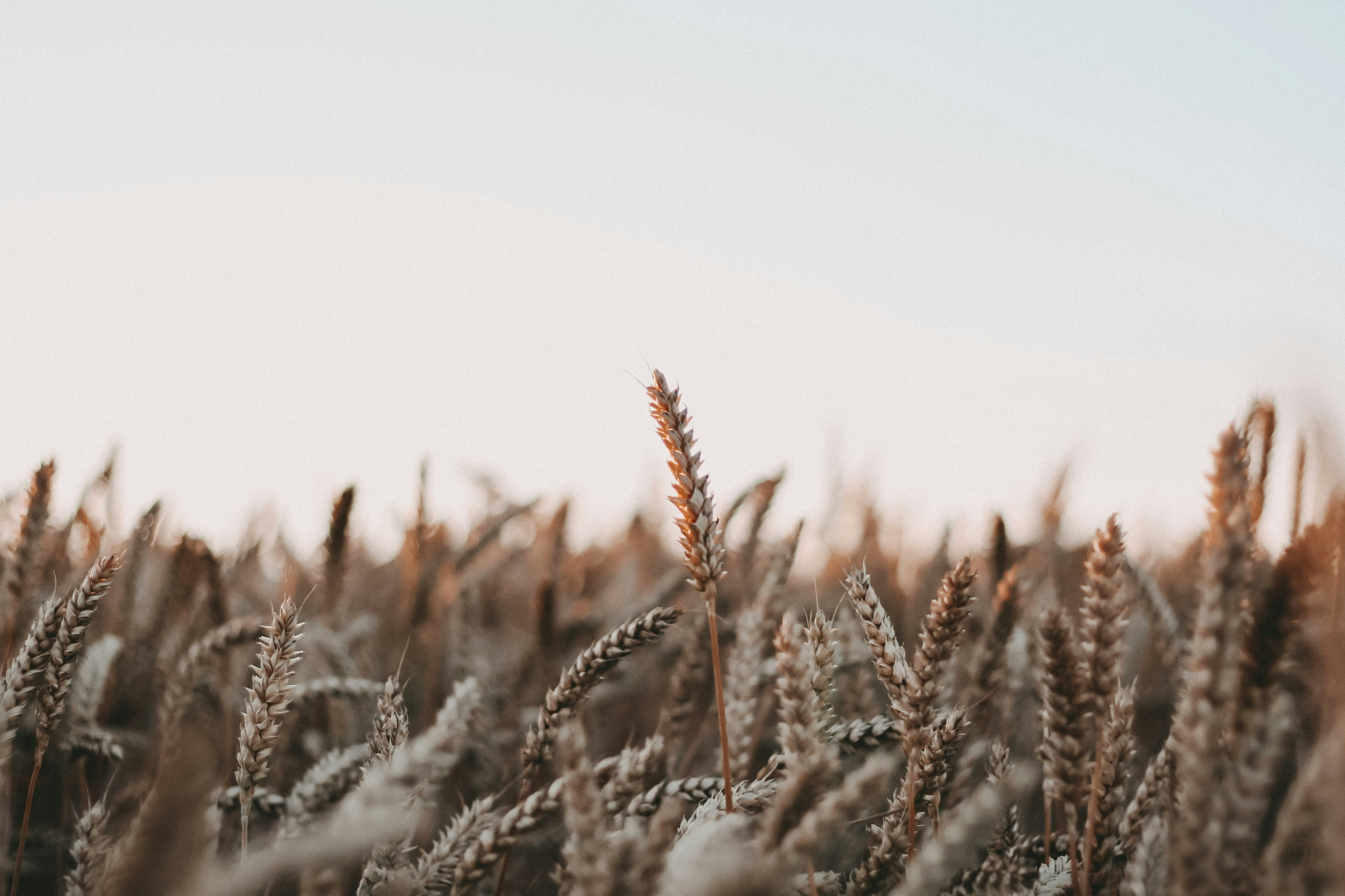 100+ Calming Pictures [HD] | Download Free Images on Unsplash