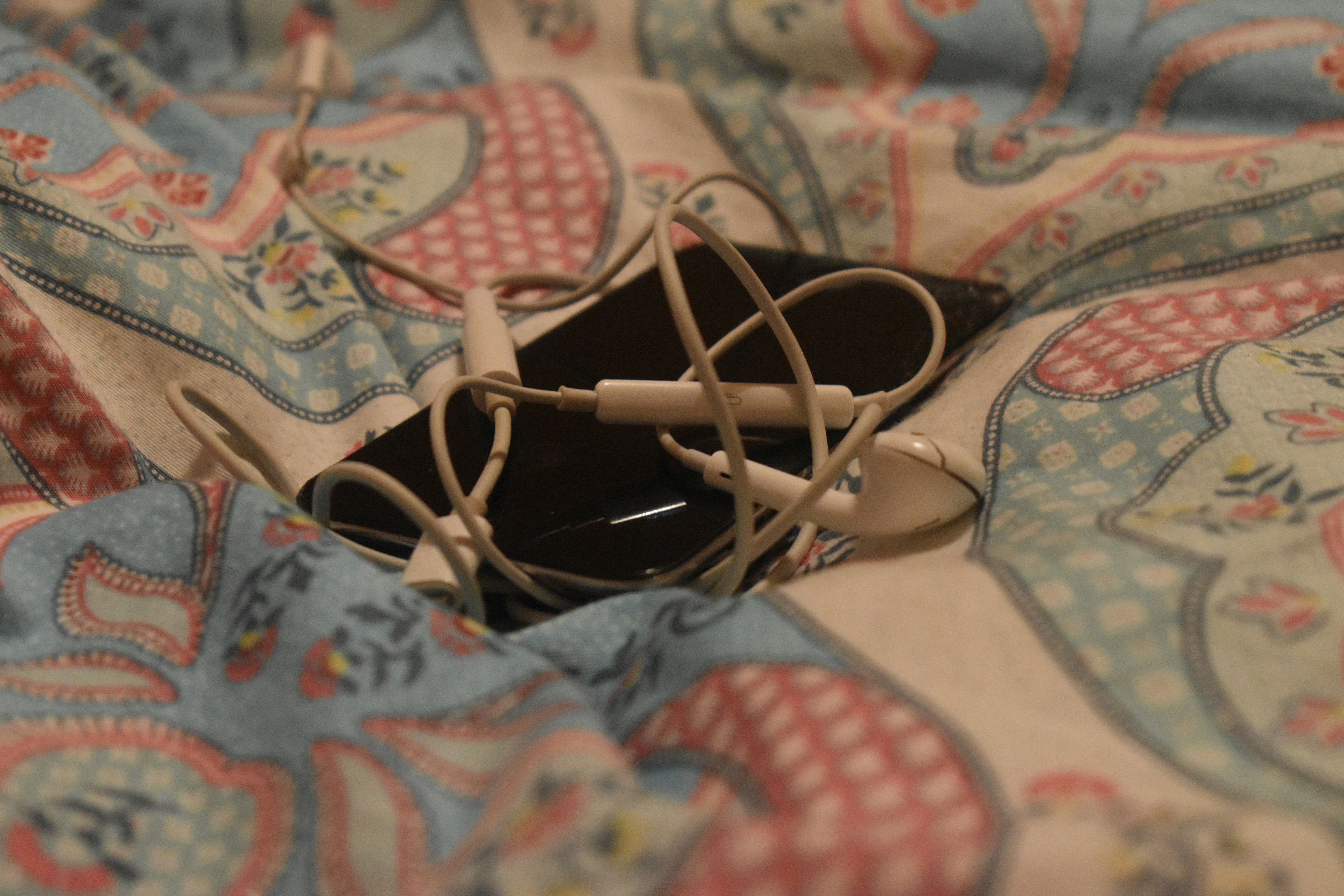 Bows And Toes Kennel Pictures | Download Free Images on Unsplash