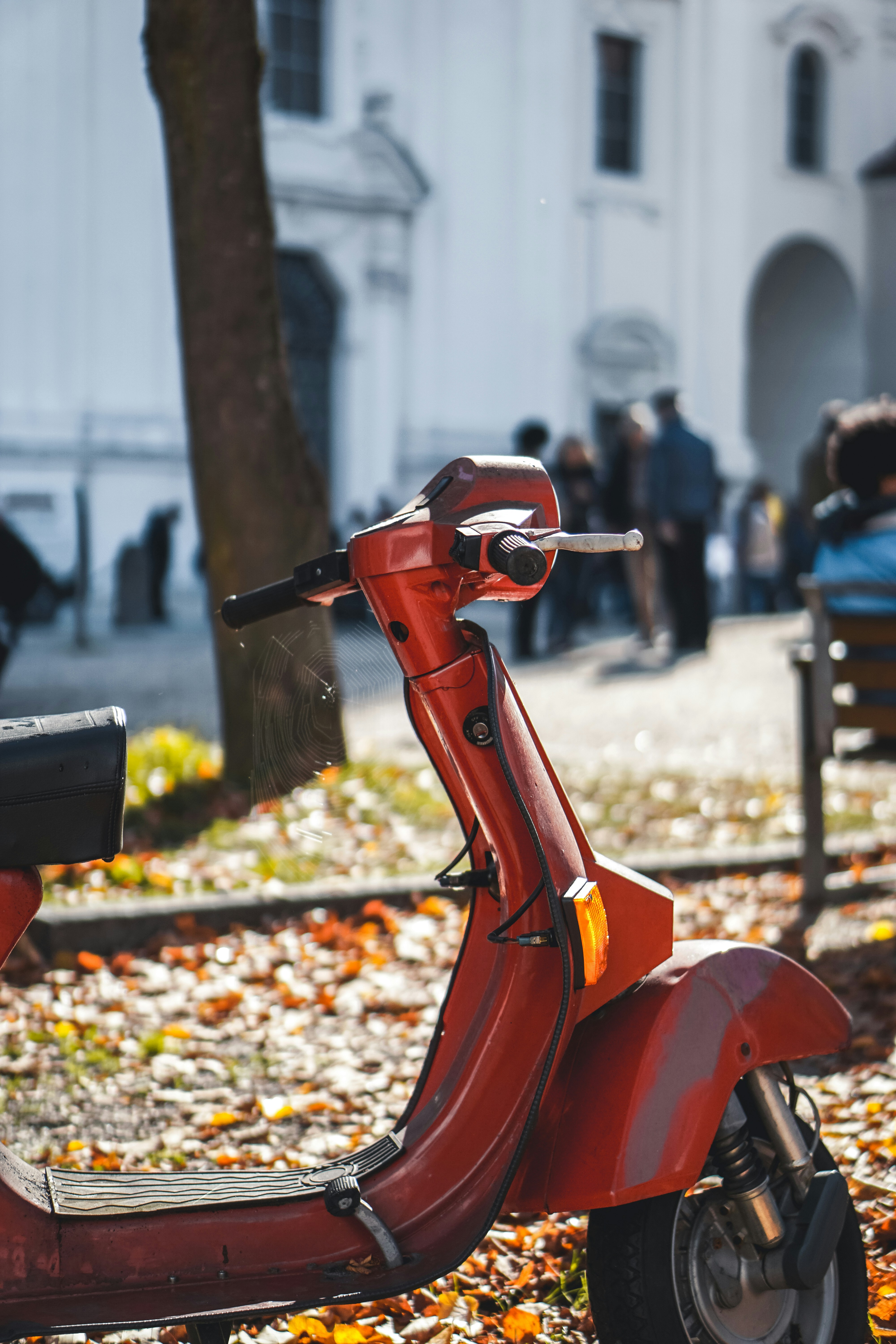 Foto zum Thema Roter Motorroller auf der Straße geparkt – Kostenloses ...