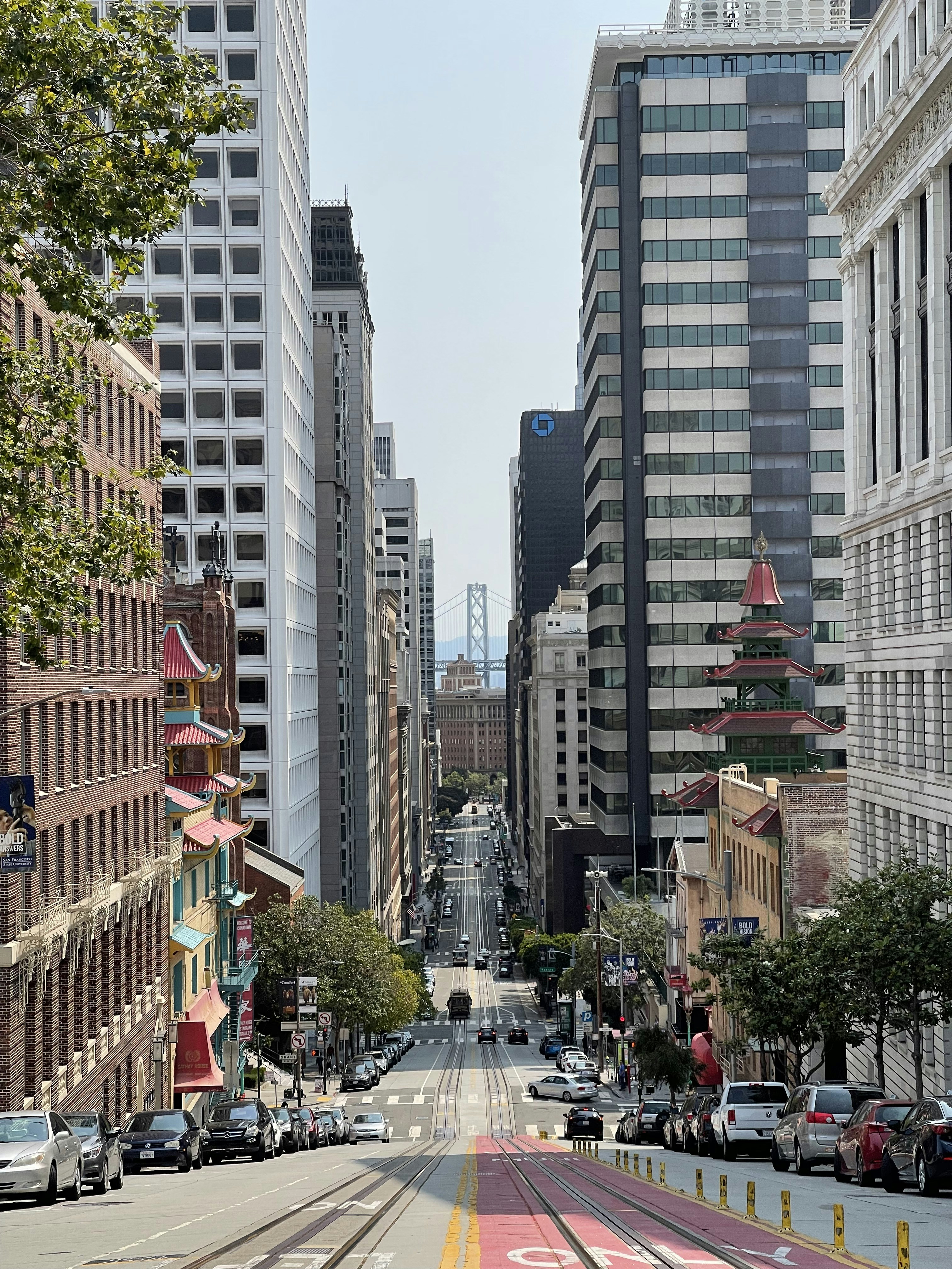 San Francisco, Ca  | people walking on street near high rise buildings during daytime