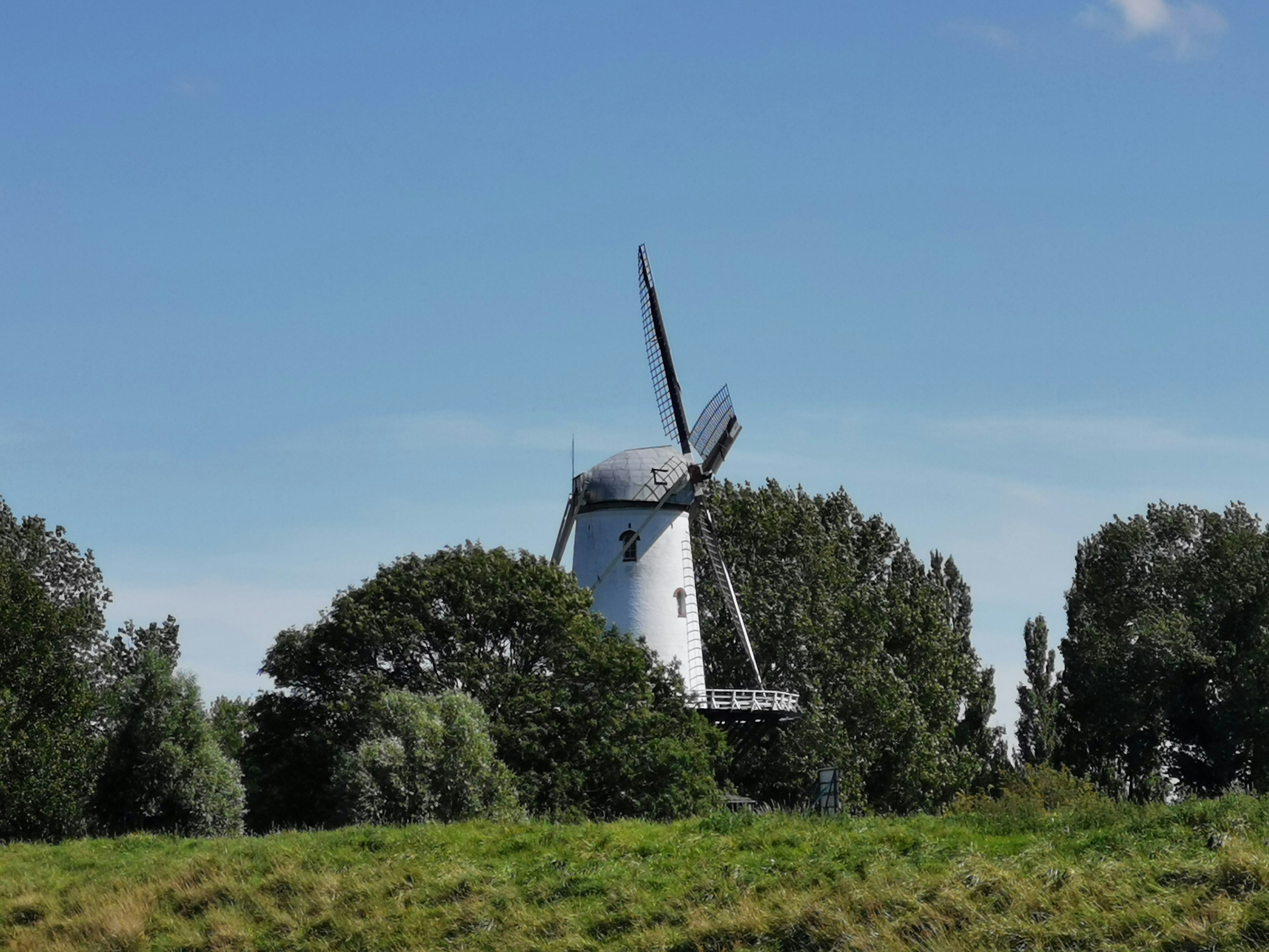 Windmill in a Quiet Meadow under a Clear Sky