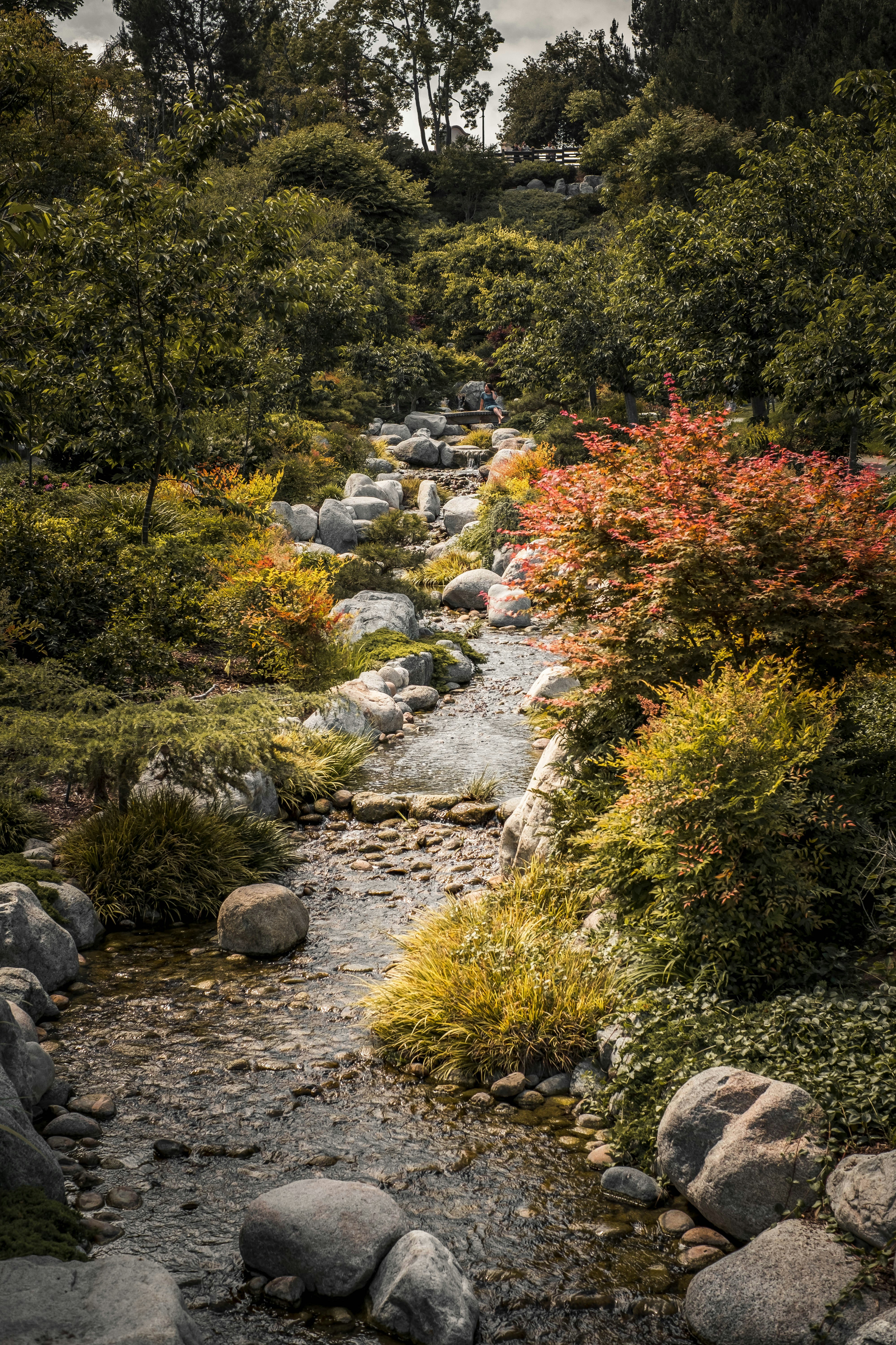 Autumn Stream Winding Through a Stone-Garden Corridor
