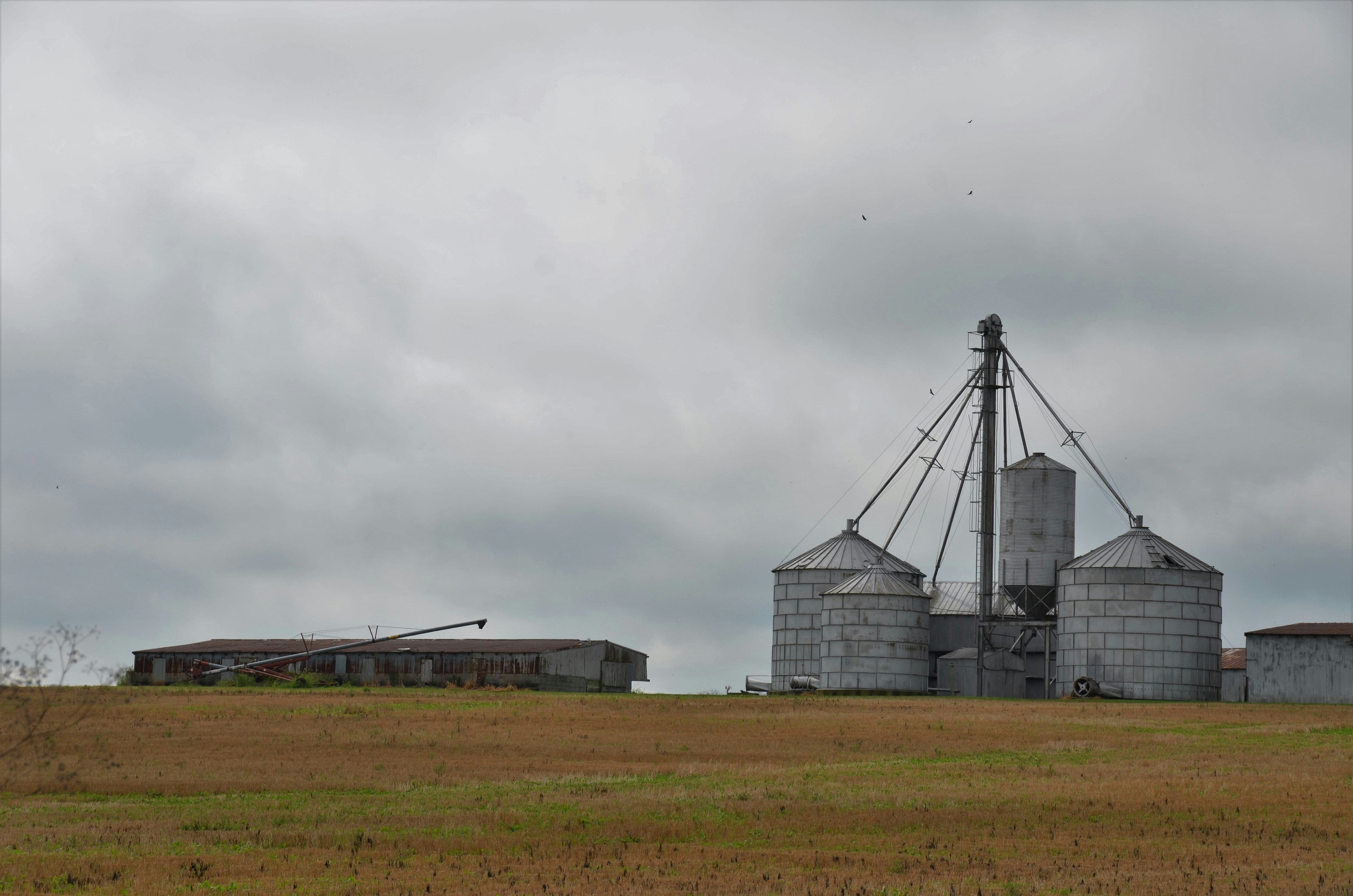 Gray and white windmill on green grass field under gray cloudy sky ...