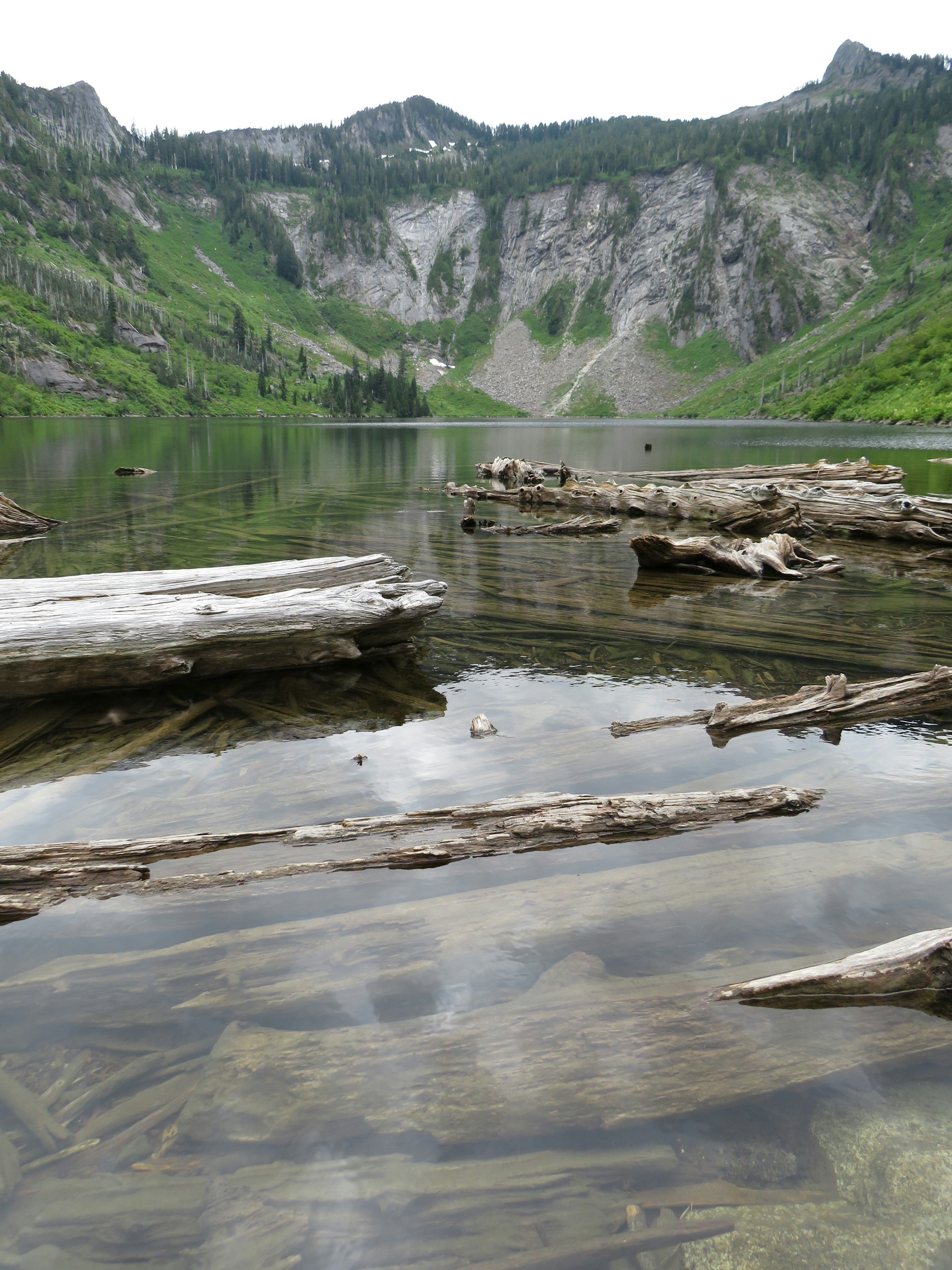 Tranquil Tides: Logs Resting at the Mirror Lake Beneath Alpine Cliffs