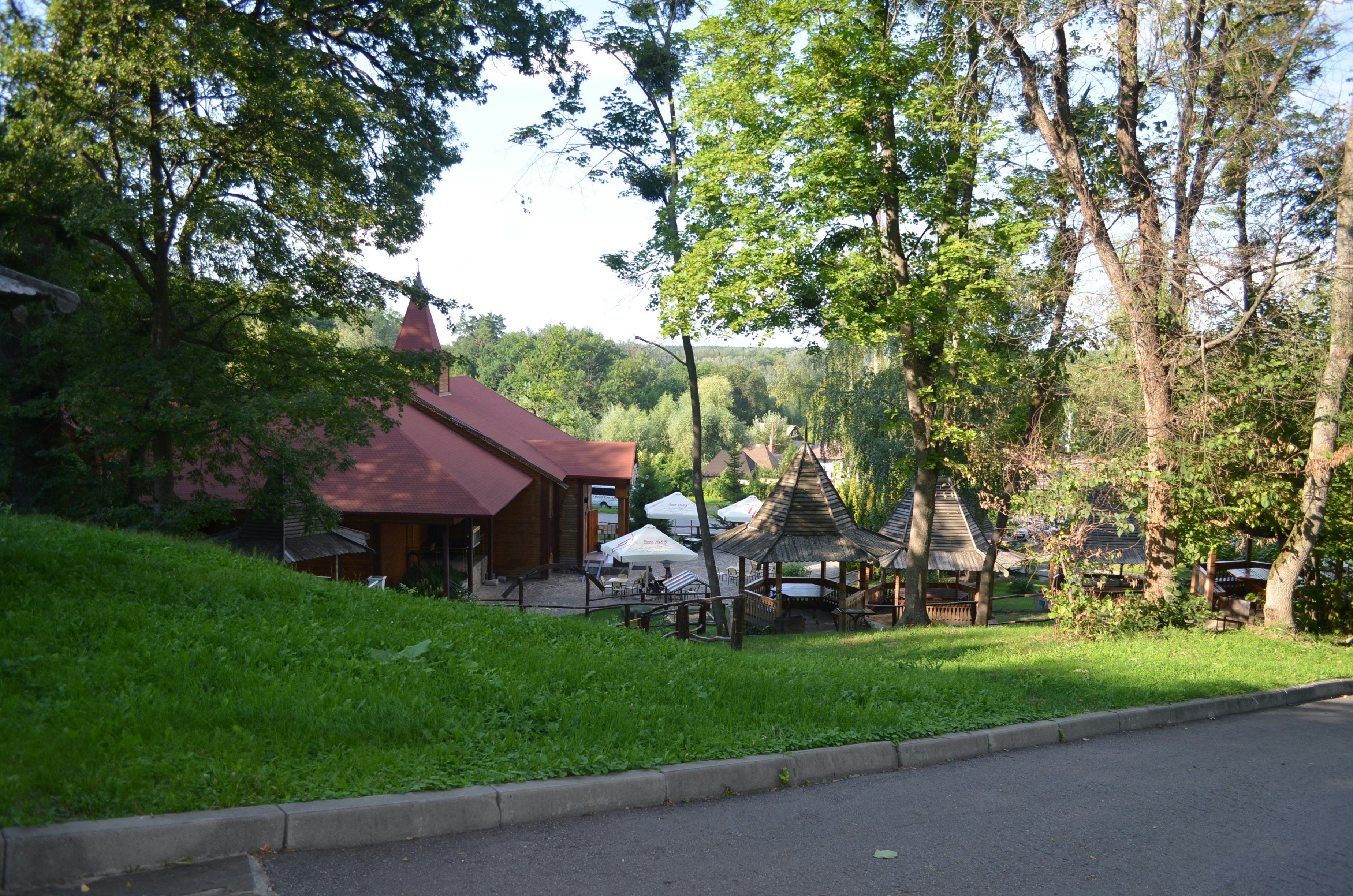 Rustic Retreat Amidst Nature's Embrace