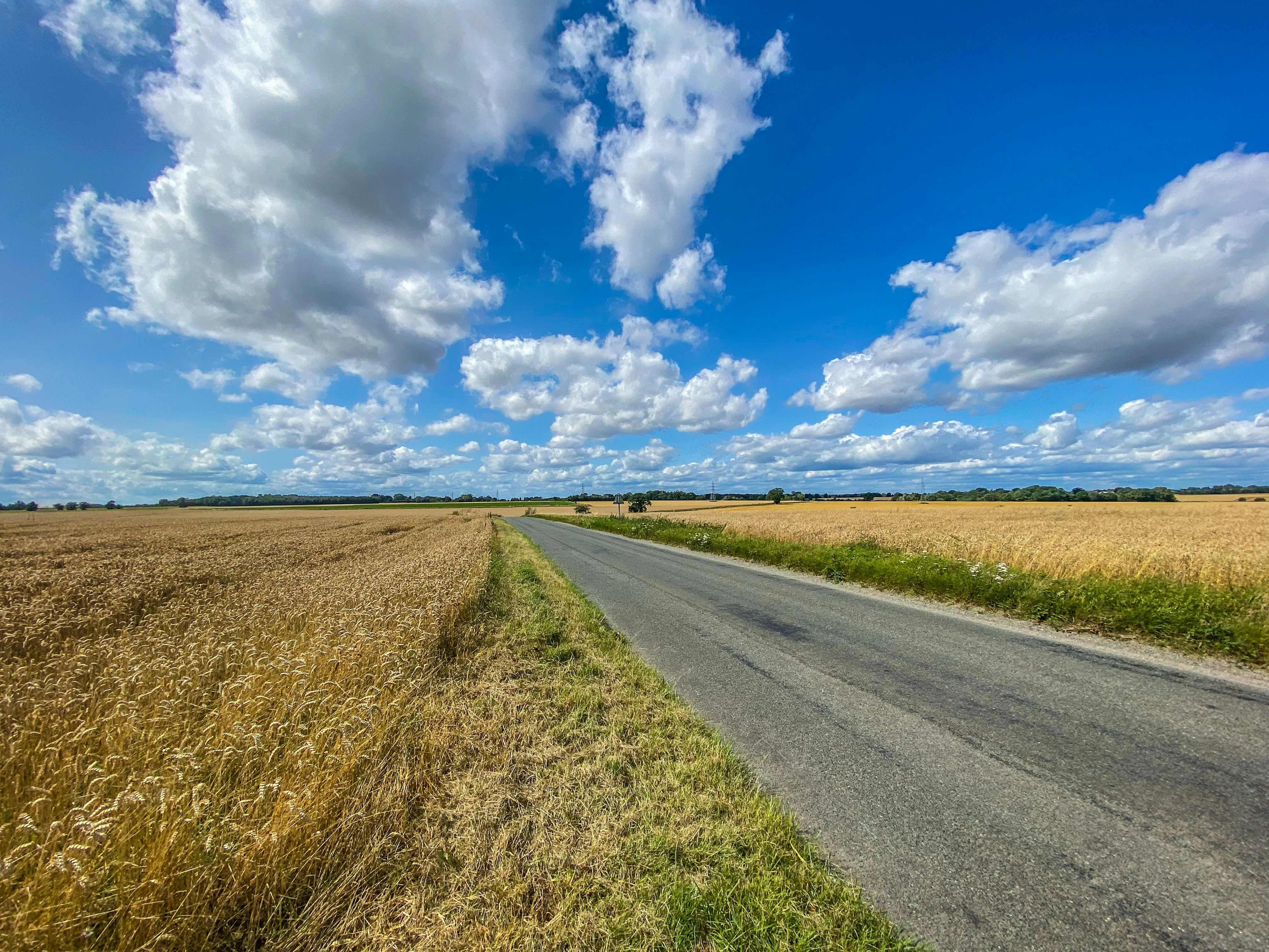 Endless Horizon Under Cotton Clouds