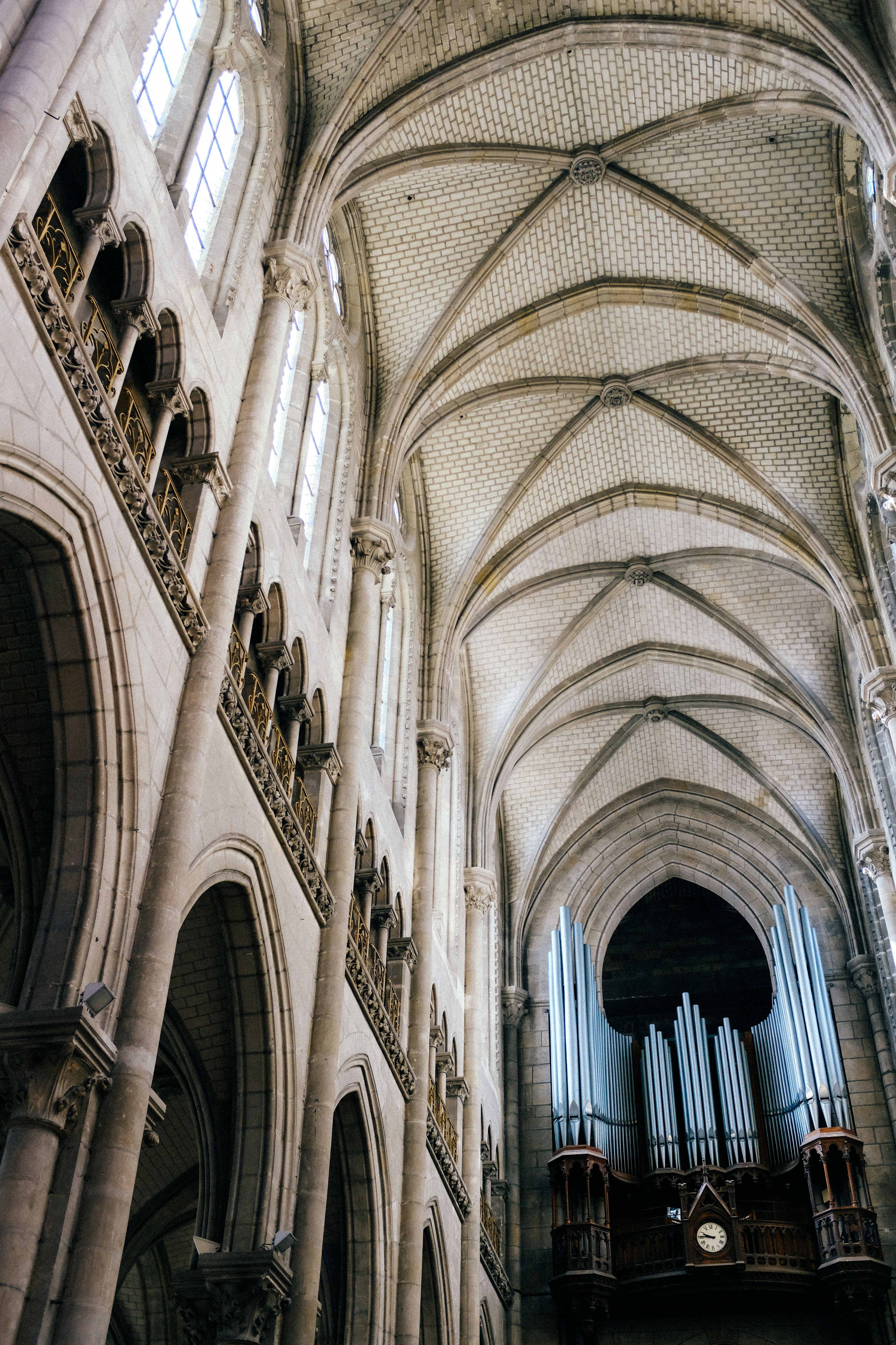 Gothic cathedral interior showcasing intricate arches and a prominent pipe organ, bathed in soft natural light.