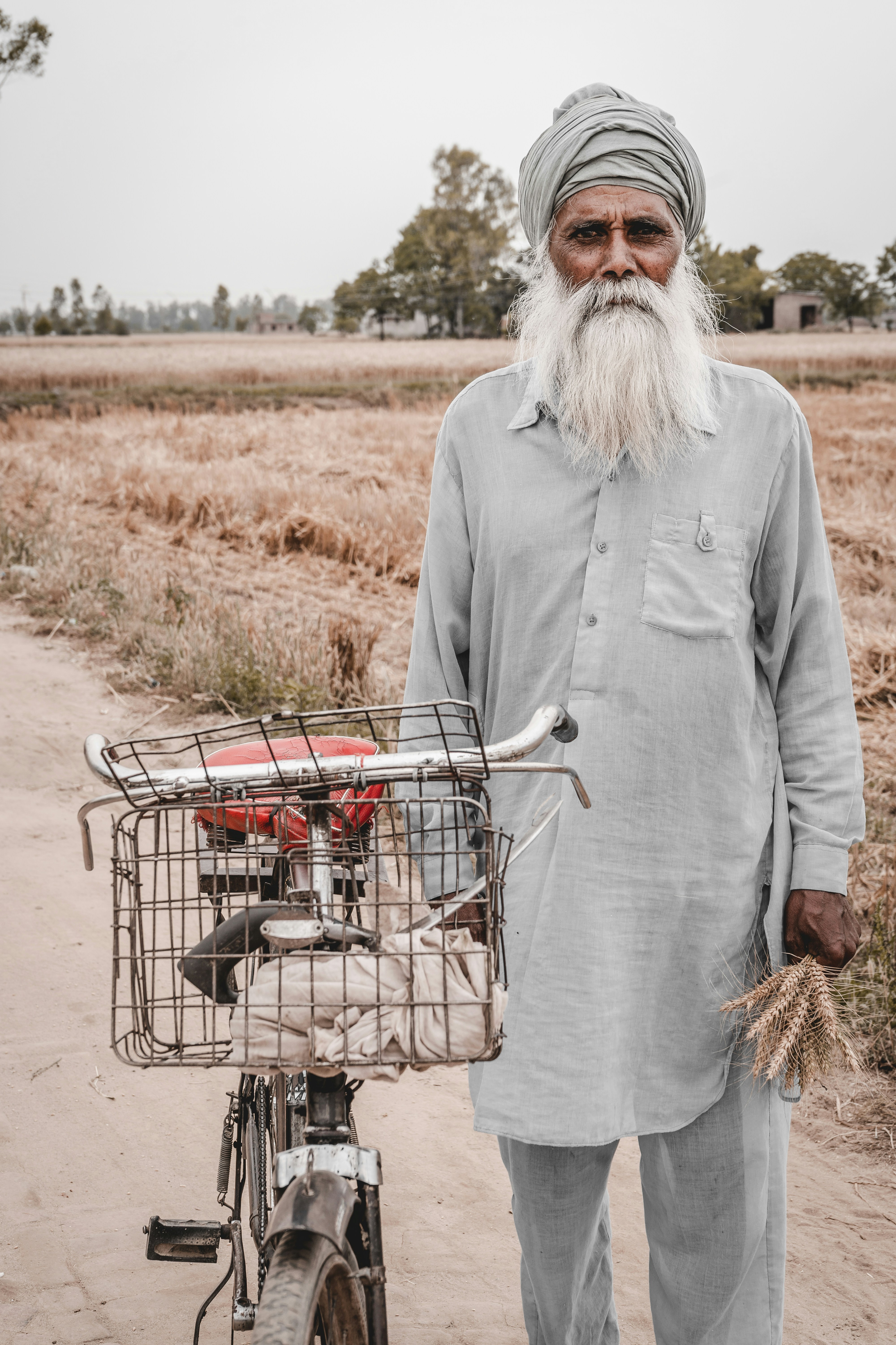 Turbaned Elder by a Rusted Bicycle in a Golden Harvest Field